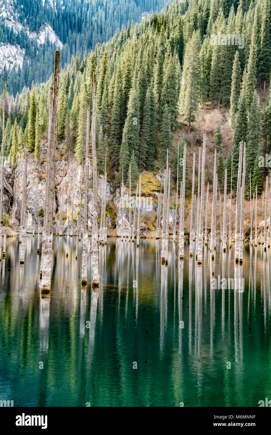 The Sunken Forest, Lake Kaindy, Kazakhstan, Central Asia, Blue glacial ...