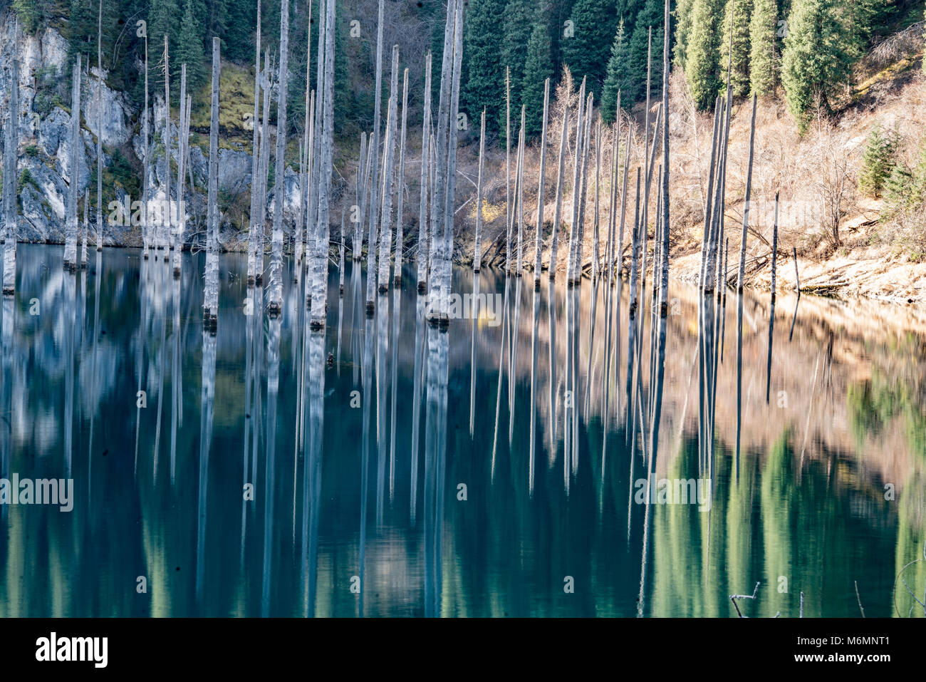 The Sunken Forest, Lake Kaindy, Kazakhstan, Central Asia, Blue glacial ...