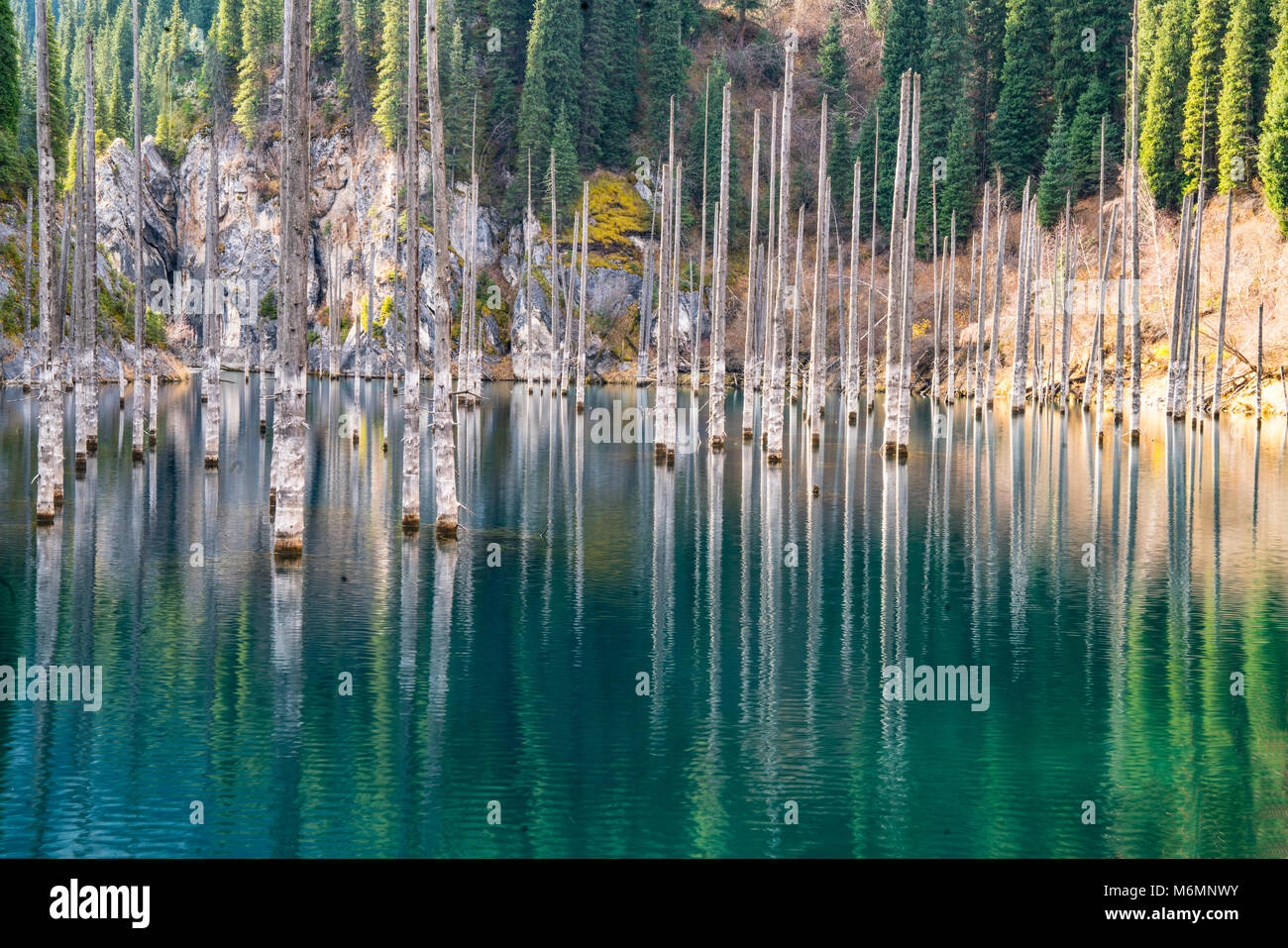 The Sunken Forest, Lake Kaindy, Kazakhstan, Central Asia, Blue glacial ...