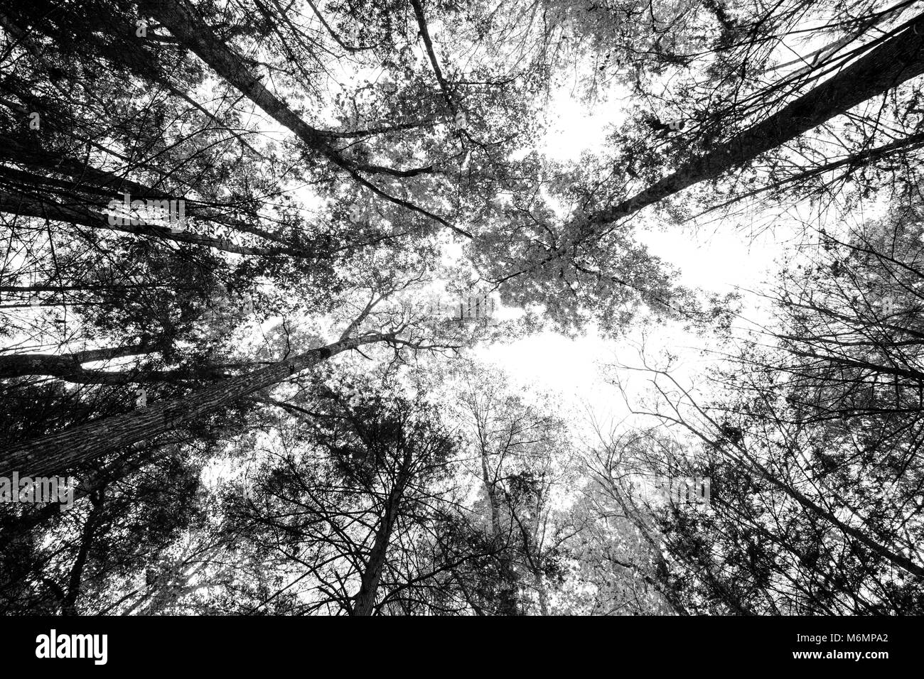 United states travel poster Black and White Stock Photos & Images - Alamy