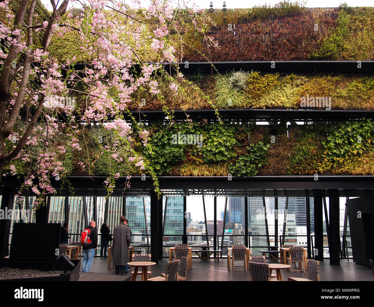 Tokyo plaza ginza hi-res stock photography and images - Alamy