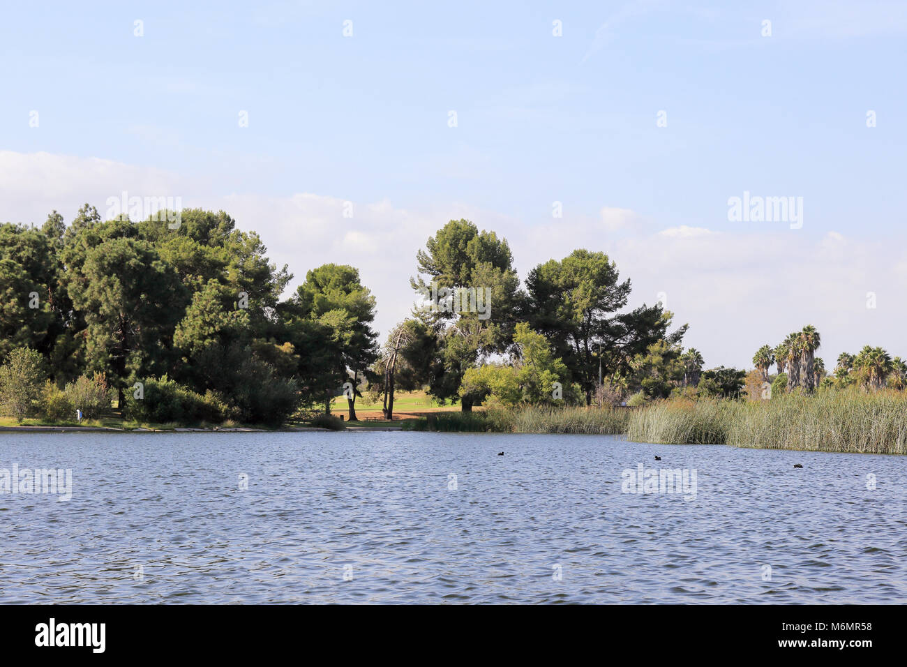 Peaceful afternoon at El Dorado East Regional Park, Long Beach ...