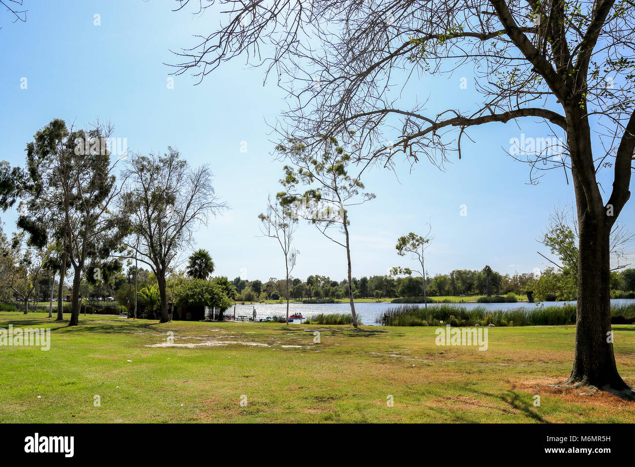 Peaceful afternoon at El Dorado East Regional Park, Long Beach ...