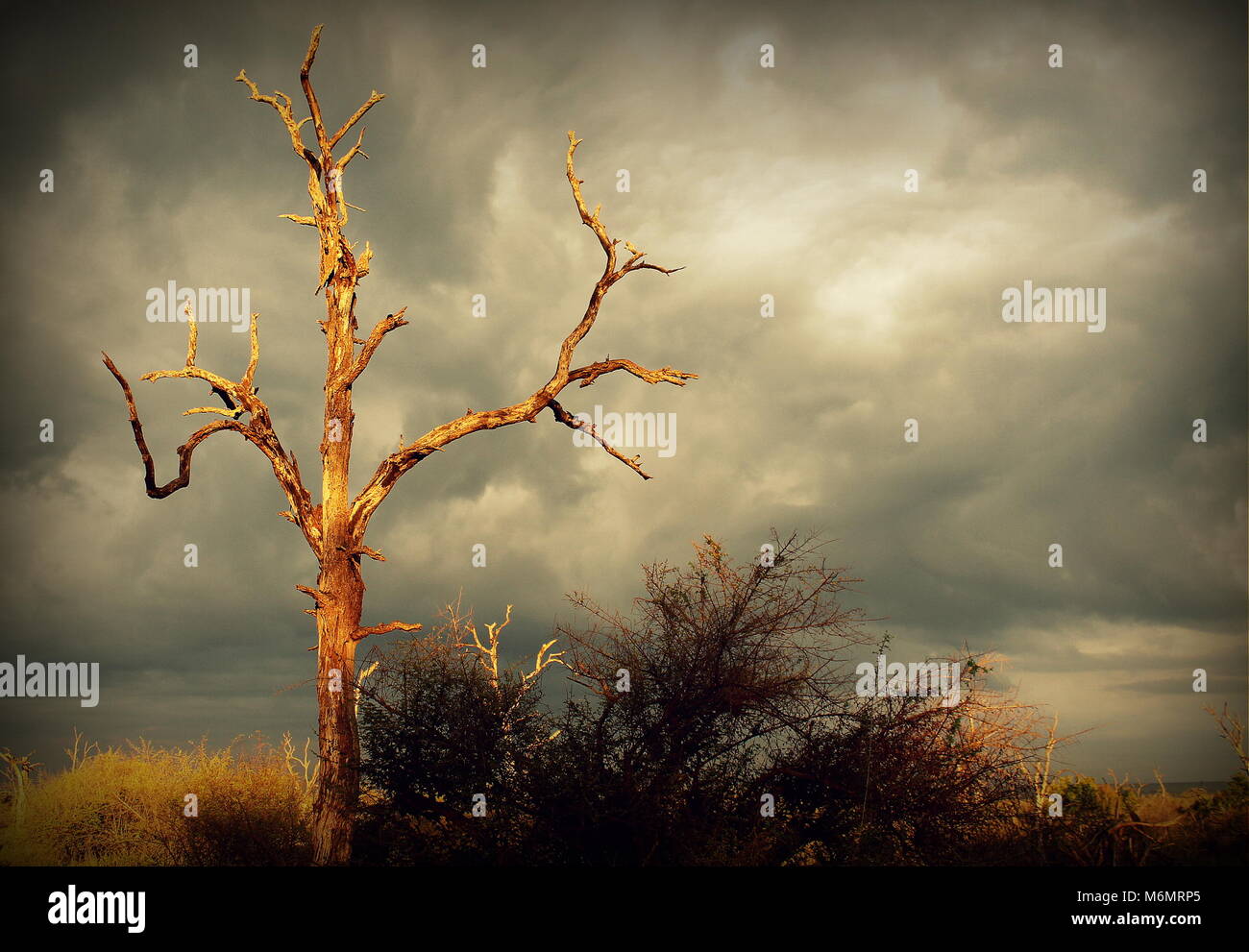 Swaziland landscape africa hi-res stock photography and images - Alamy