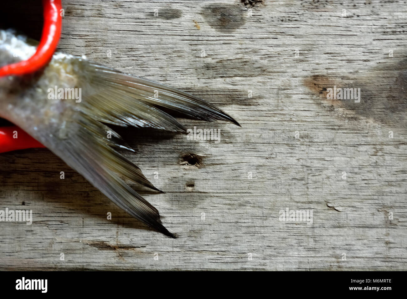 Raw freshest fish with cooking mineral on rough stone background Stock ...