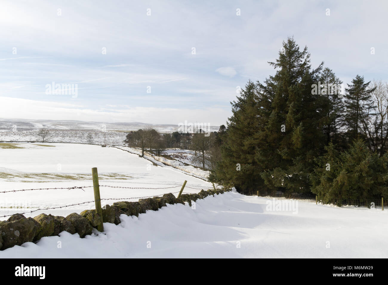 Snow covered field in Northumberland UK Stock Photo - Alamy