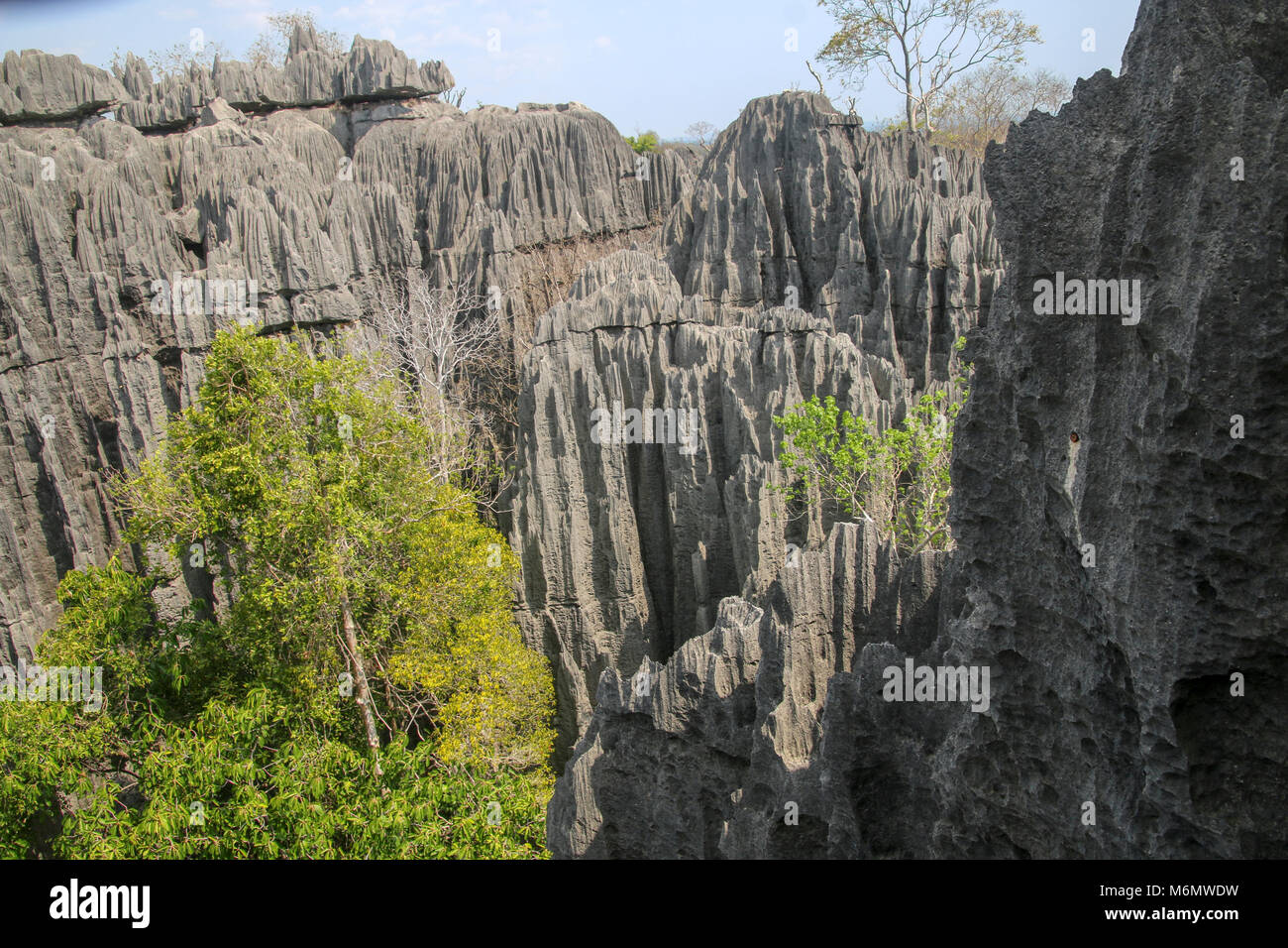 Madagascar, Tsingy de Bemaraha Strict Nature Reserve - eroded Karst ...