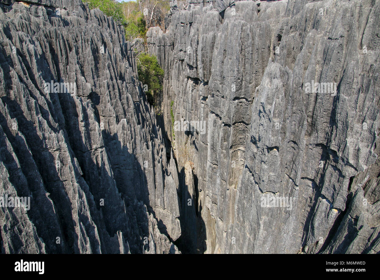 Madagascar, Tsingy de Bemaraha Strict Nature Reserve - eroded Karst ...