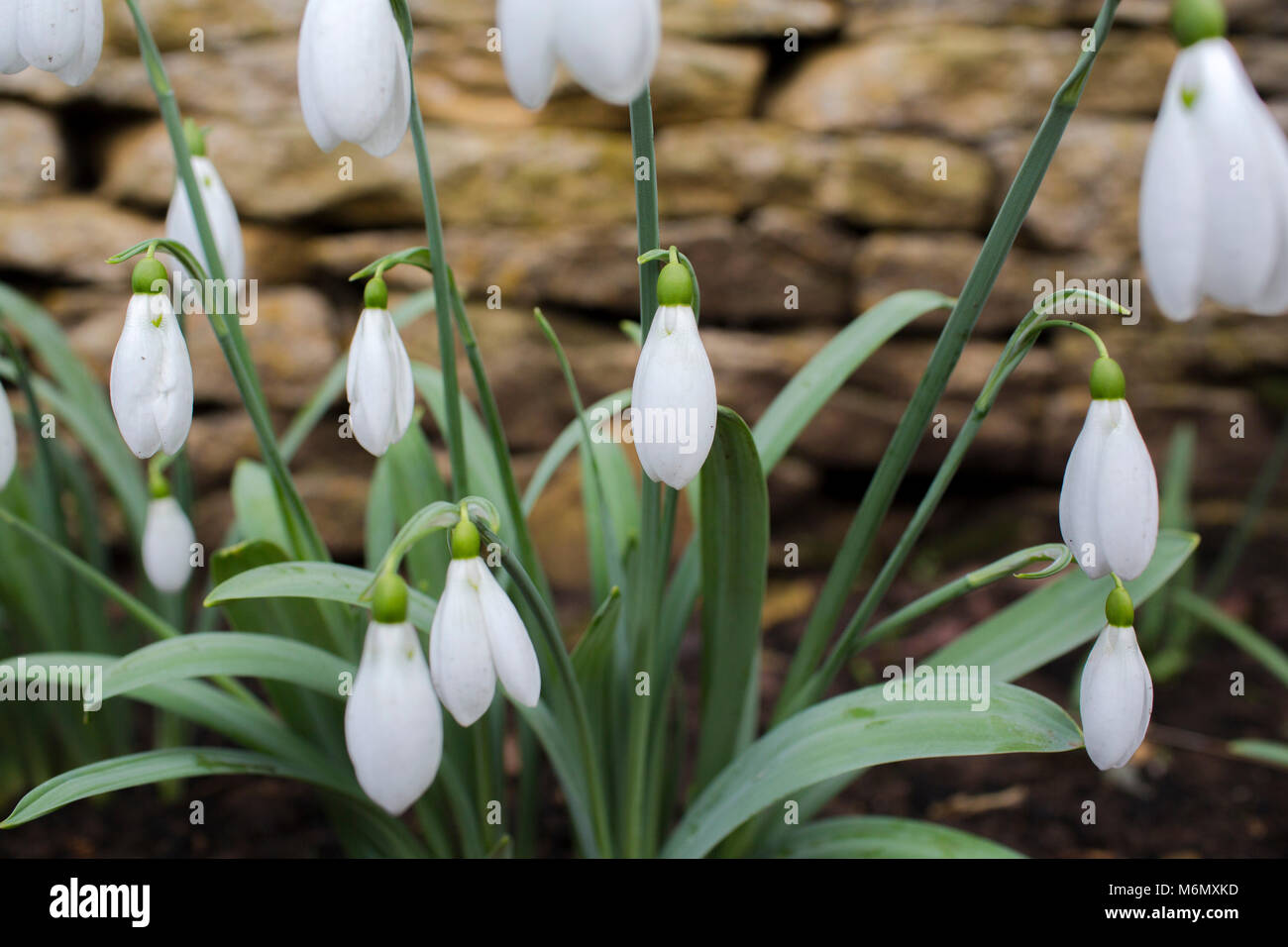 Large clumps hi-res stock photography and images - Alamy