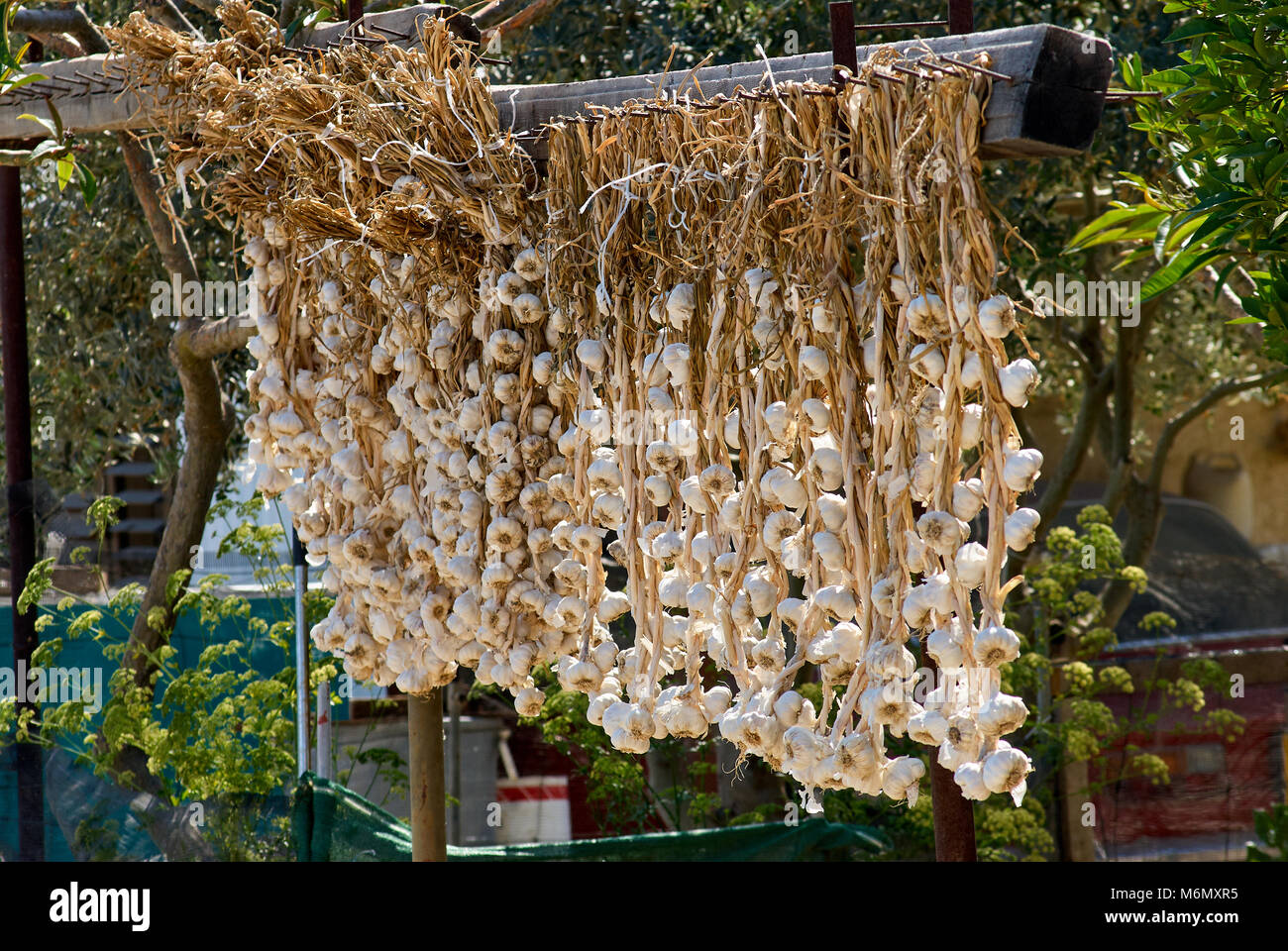 The mountain landscape of the Cyprus island, Kathikas, Cyprus Stock ...