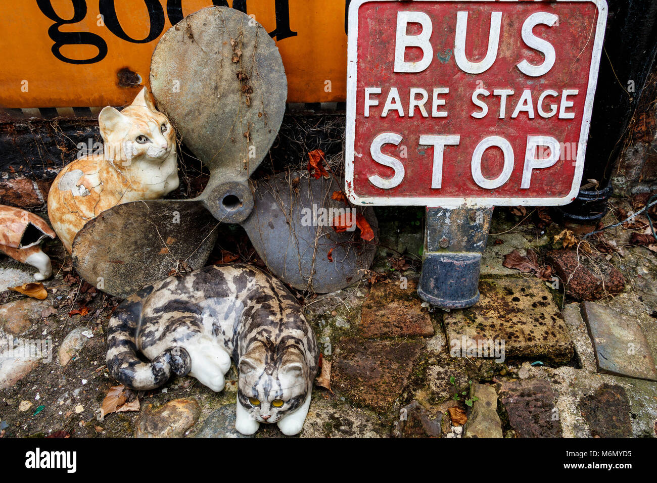 A collection of Winstanley pottery cats arranged outdoors. North ...