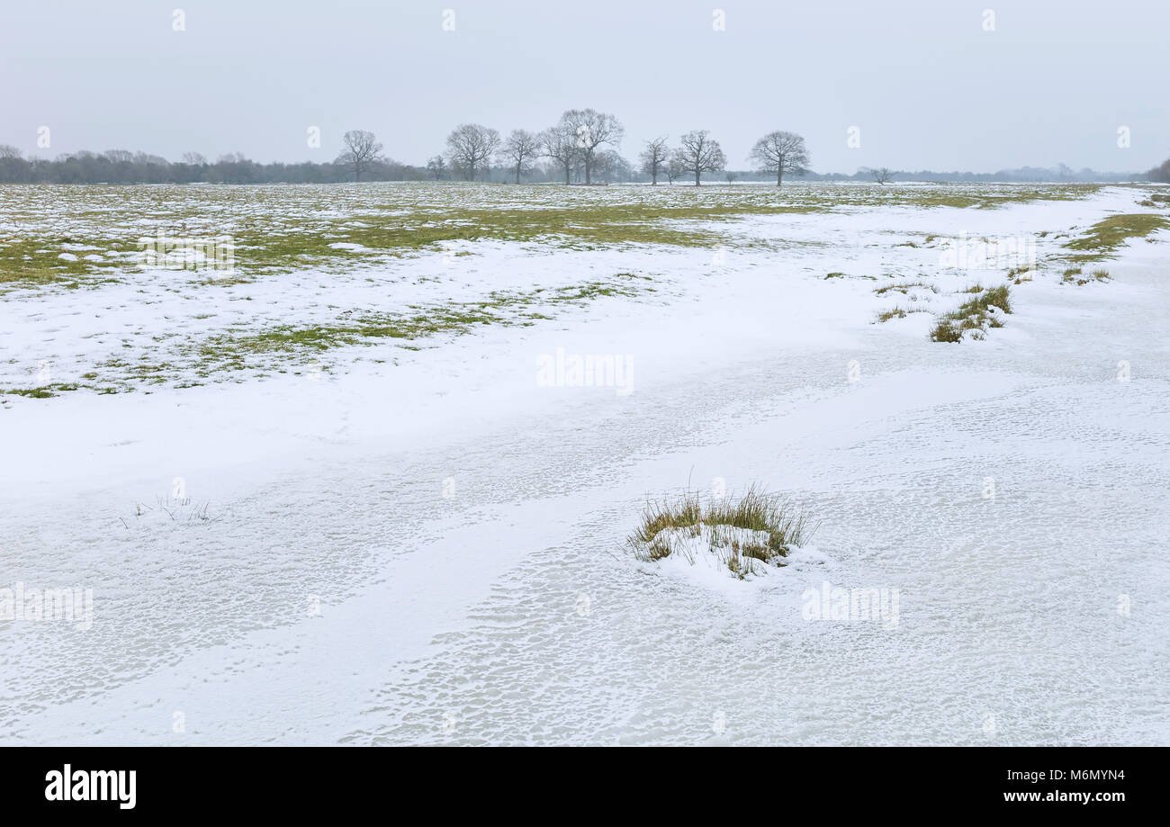 Beverley Uk Snow High Resolution Stock Photography and Images - Alamy