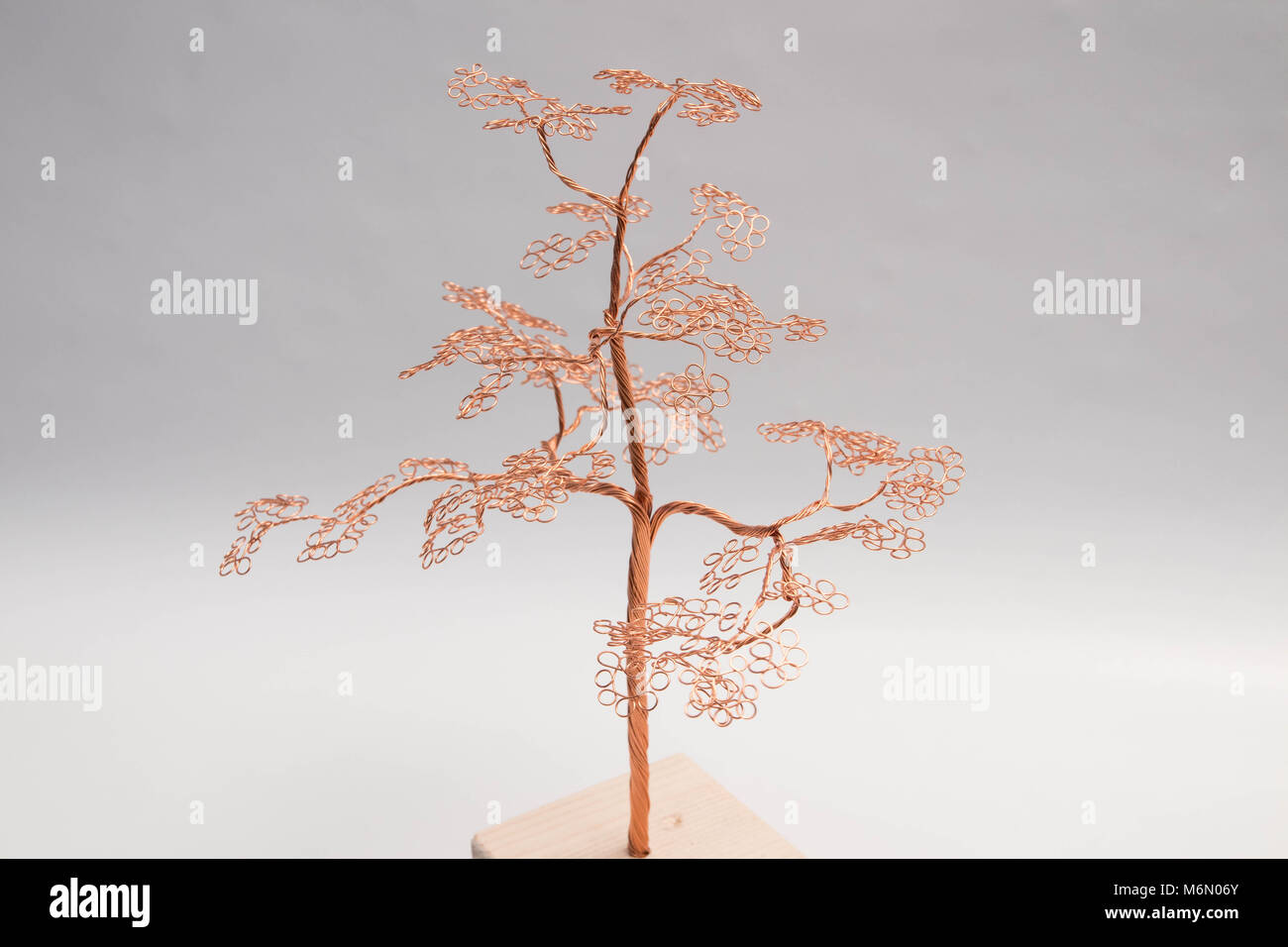 Precious bonsai hi-res stock photography and images - Alamy