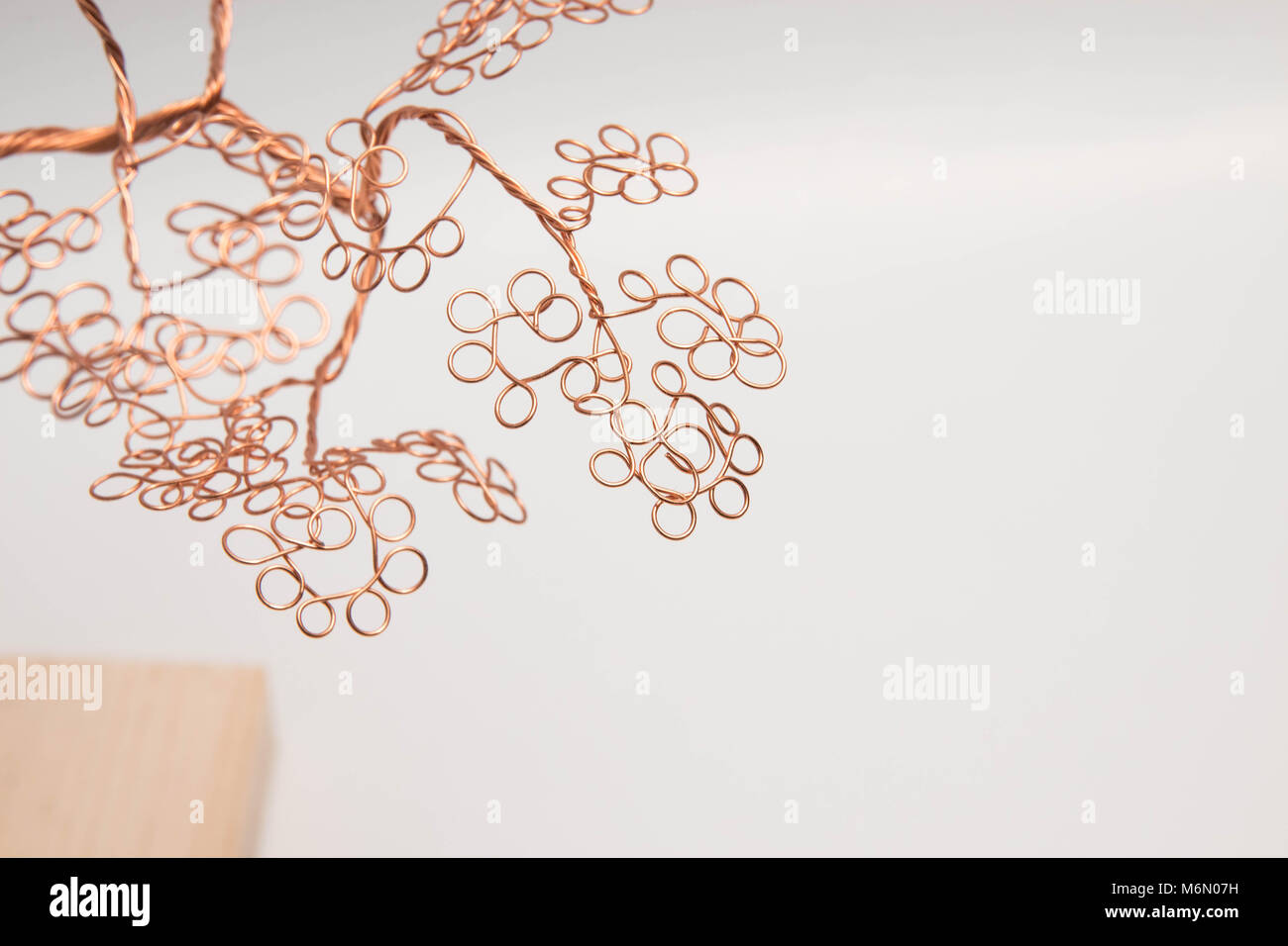 Wired Bonsai High Resolution Stock Photography and Images - Alamy