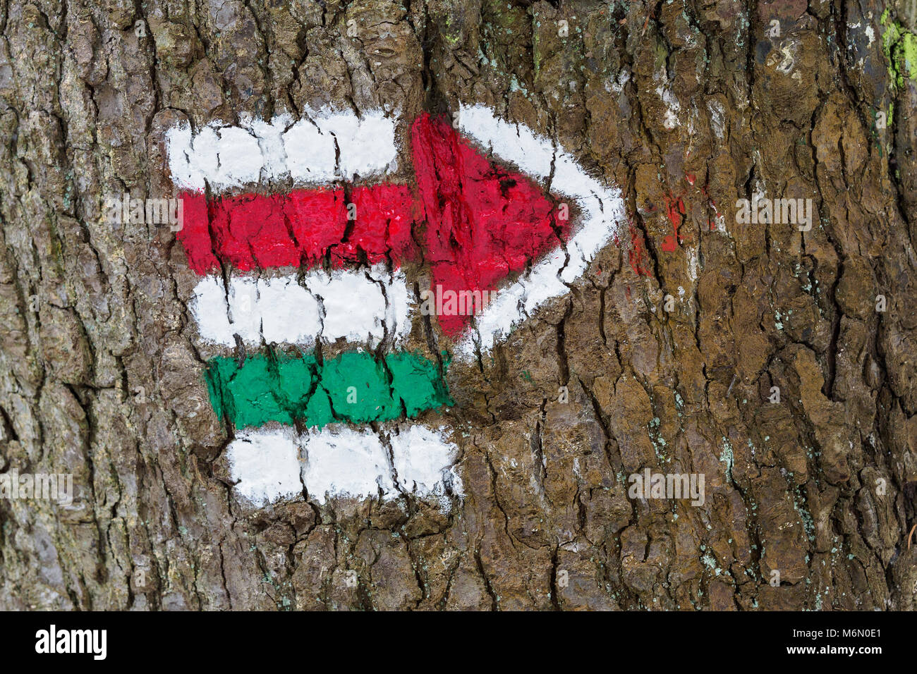 Colorful signs for hiking on the bark of a tree, arrow-shaped Stock ...