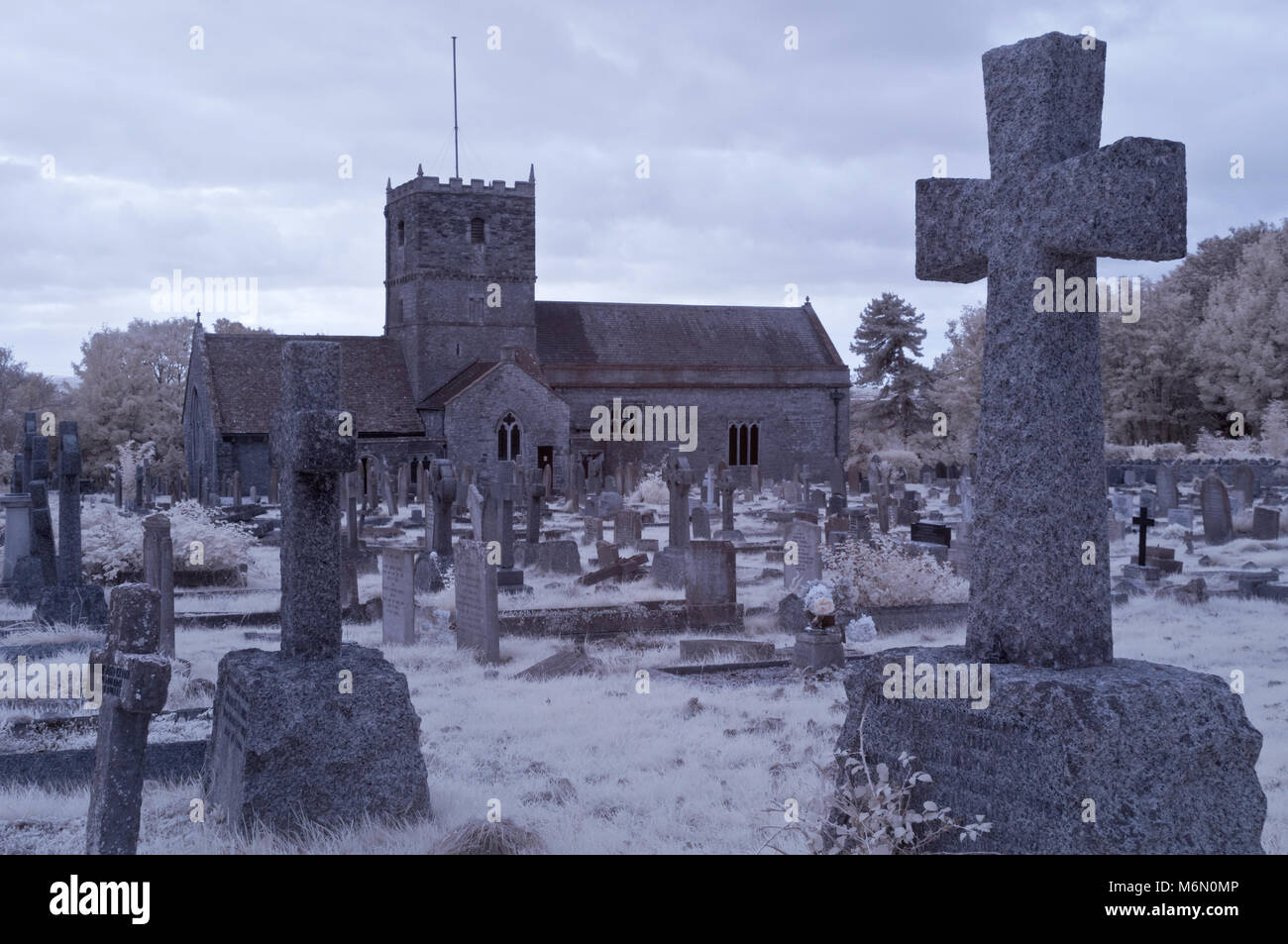 infrared picture of graves and headstones in the churchyard cemetery of ...
