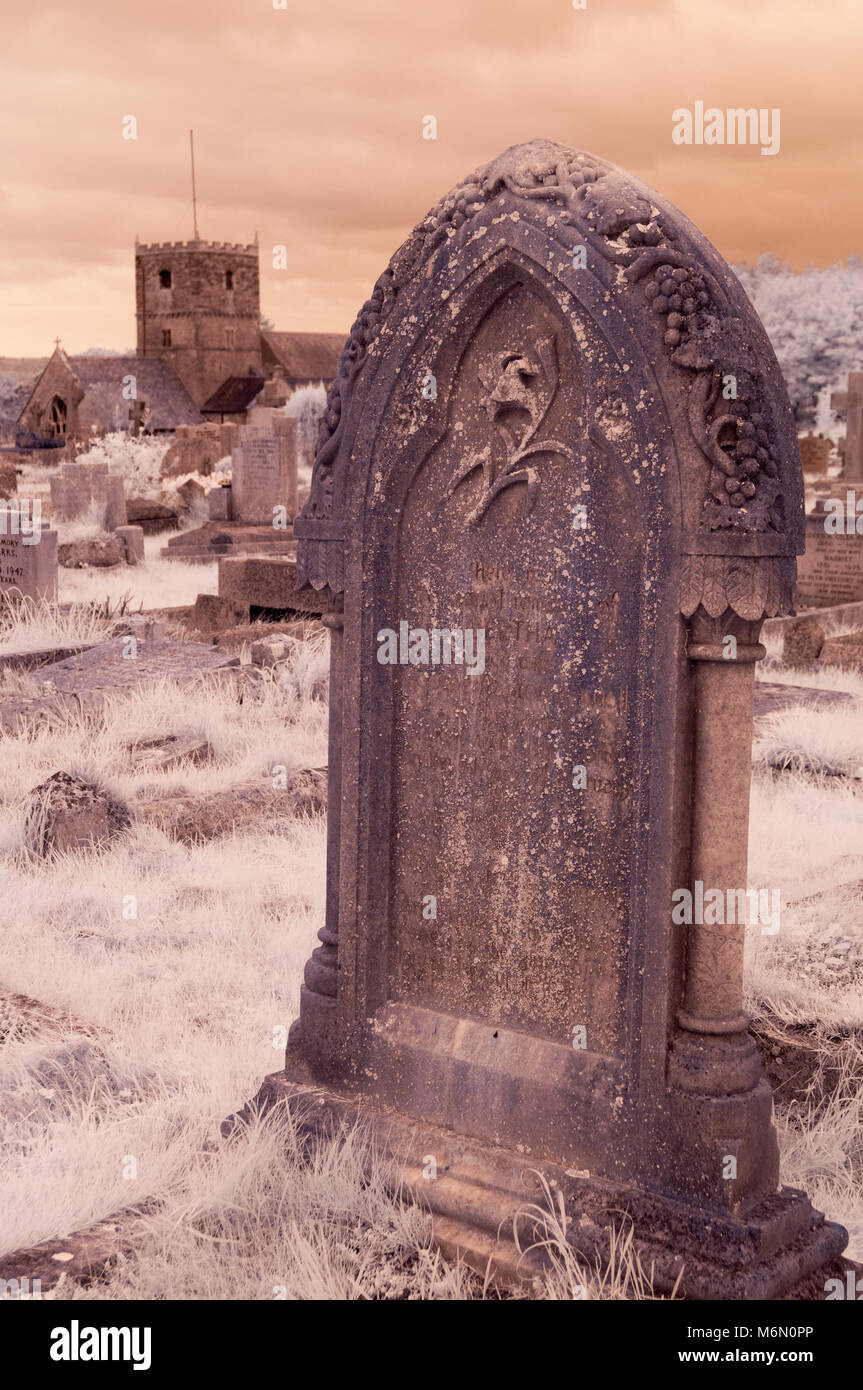 infrared picture of graves and headstones in the churchyard cemetery of ...