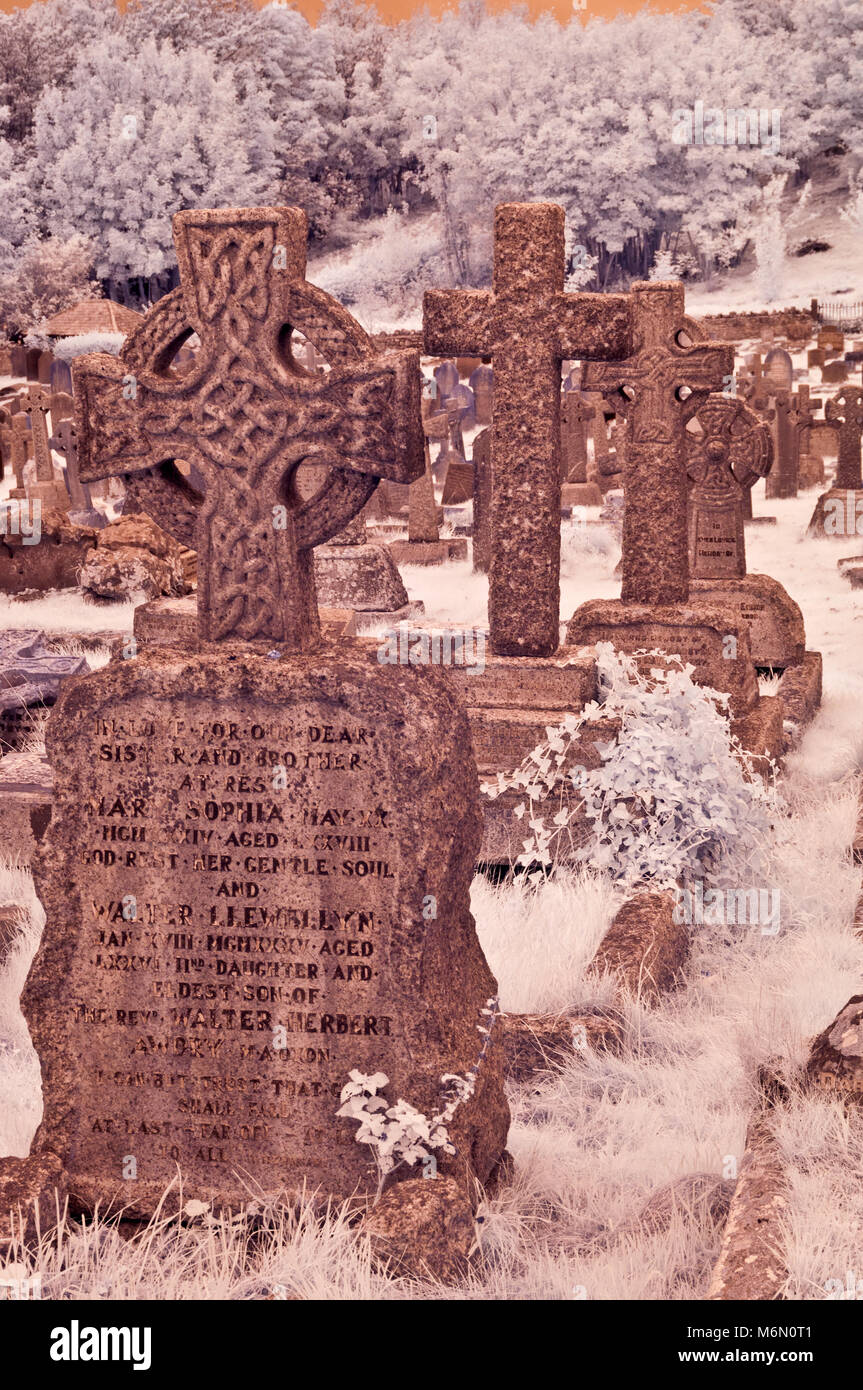 infrared picture of graves and headstones in the churchyard cemetery of ...