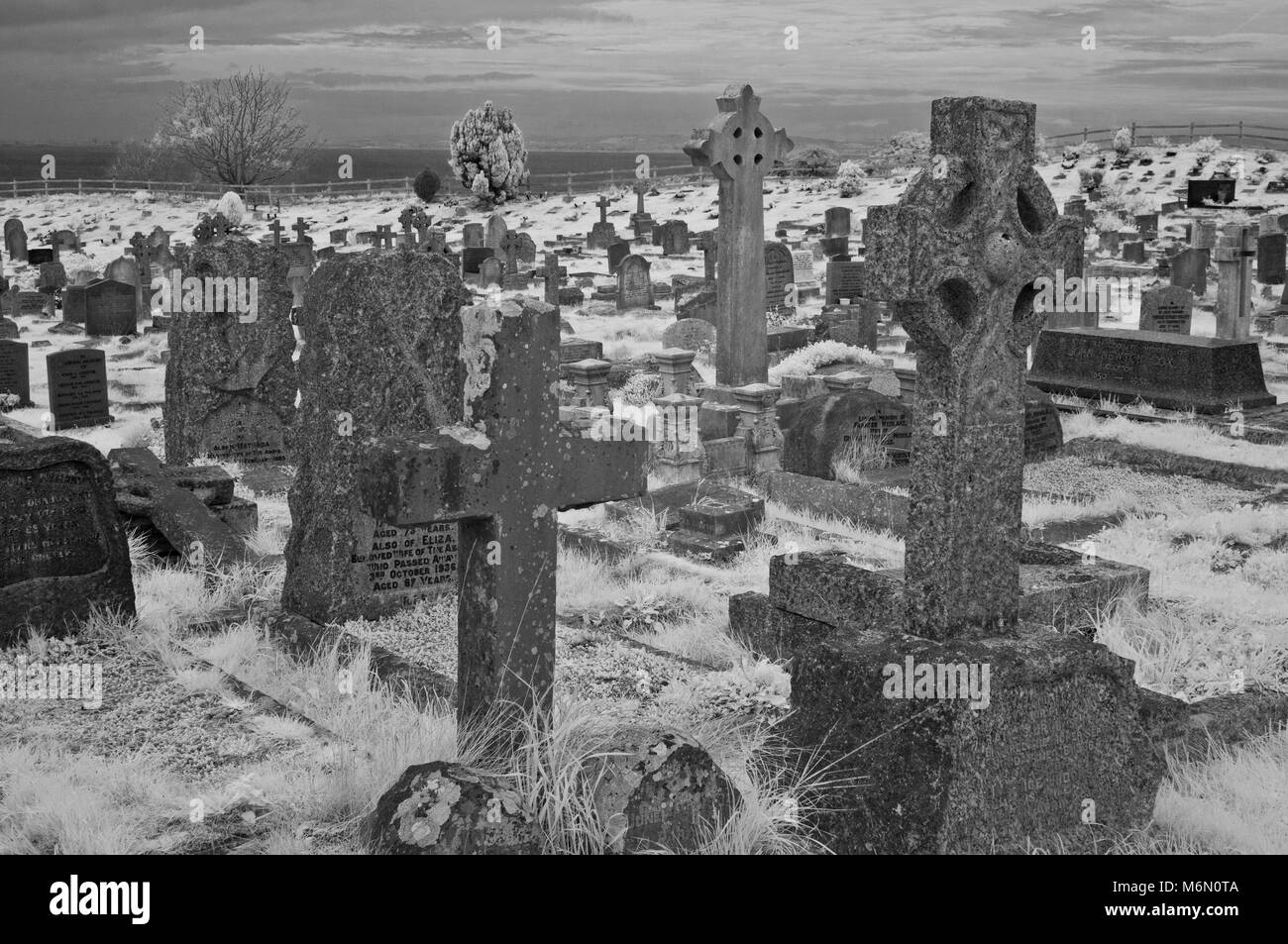 infrared picture of graves and headstones in the churchyard cemetery of ...