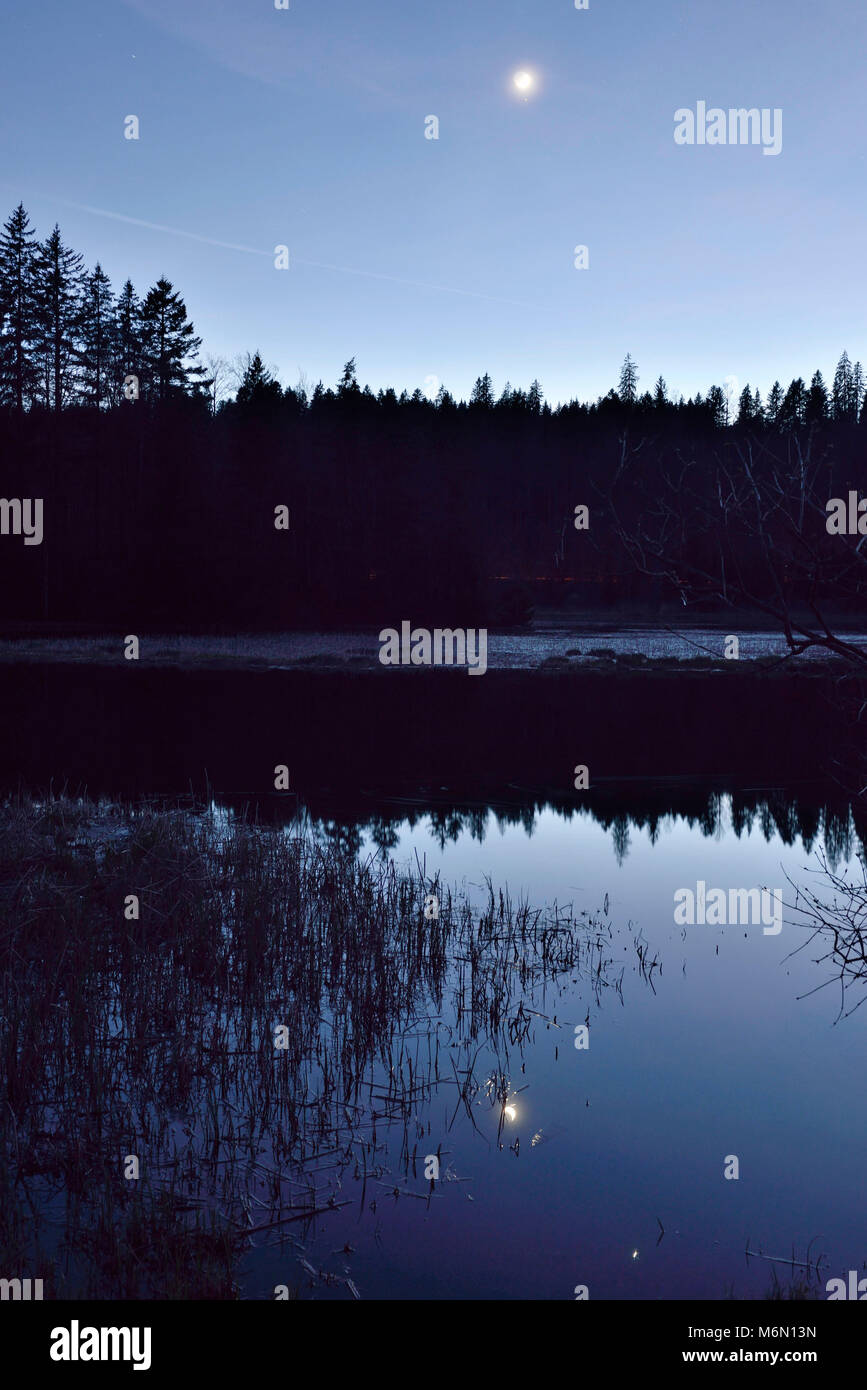 Paimpont, also known as the Forest of Broceliande: the Blue Pond (pond ...