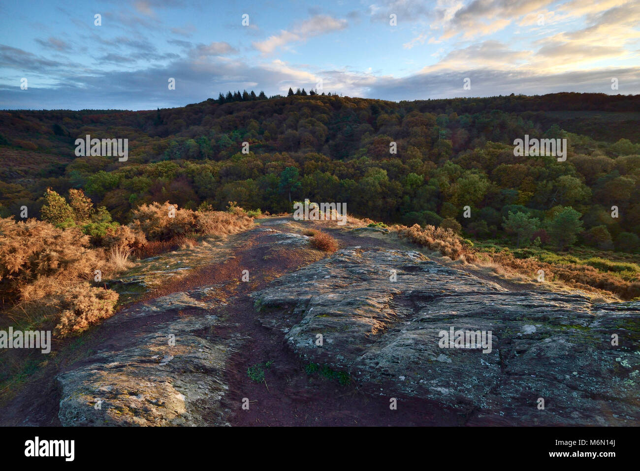 Forest of Paimpont, also known as the Forest of Broceliande: ÒLe Val ...
