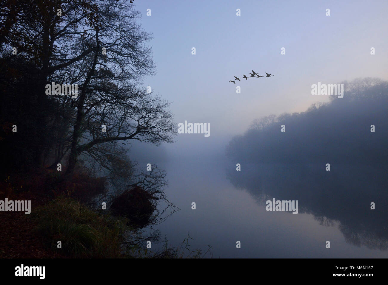 Paimpont, also known as the Forest of Broceliande: the Blue Pond (pond ...