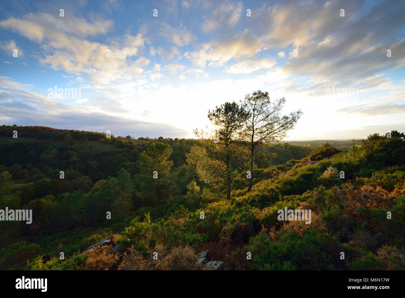 Paimpont hi-res stock photography and images - Alamy