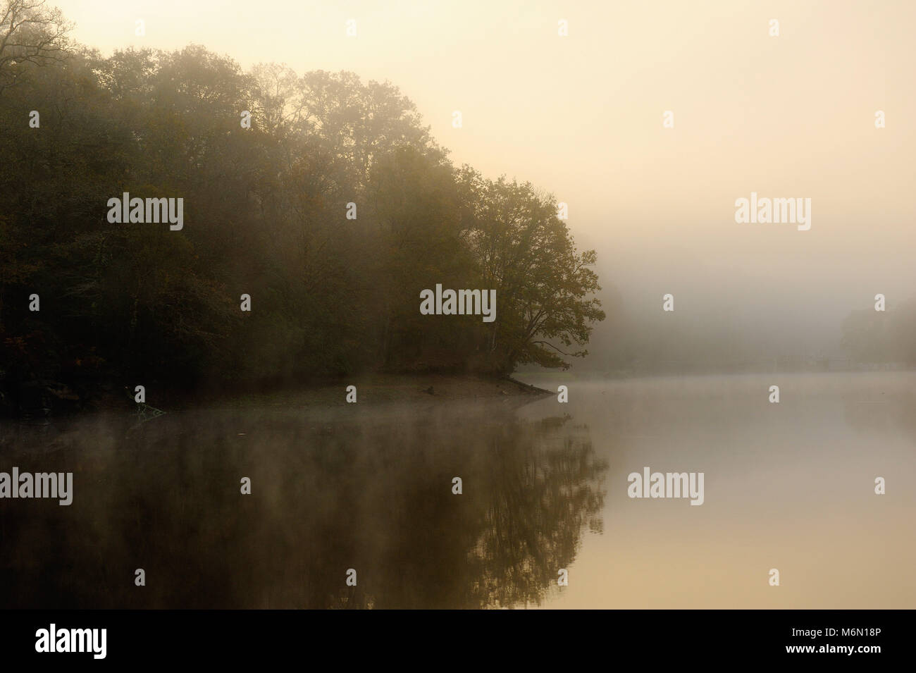 Paimpont hi-res stock photography and images - Alamy