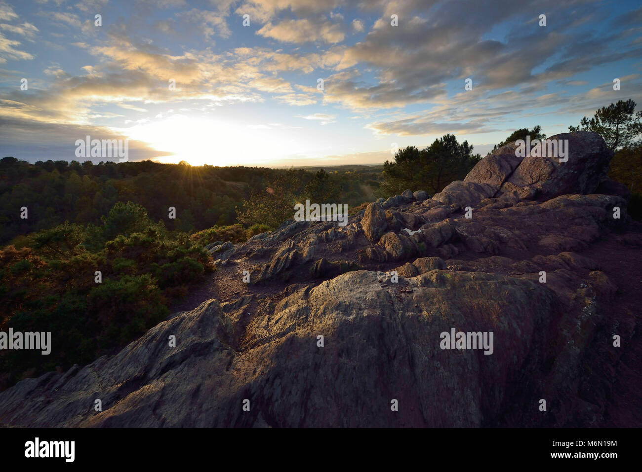Forest of Paimpont, also known as the Forest of Broceliande: ÒLe Val ...
