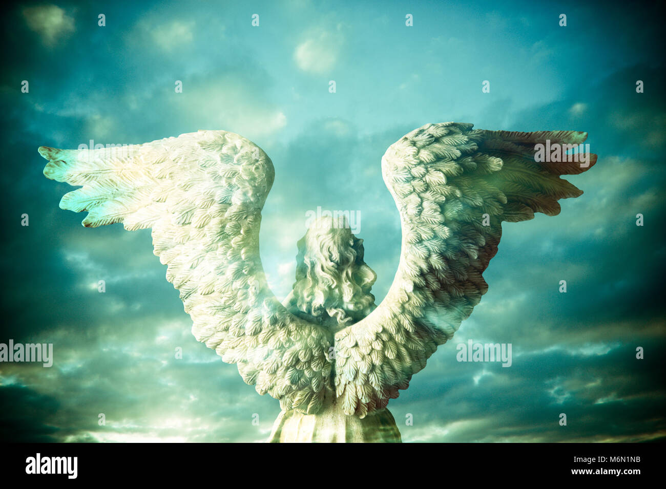 Back view of angel wings hi-res stock photography and images - Alamy