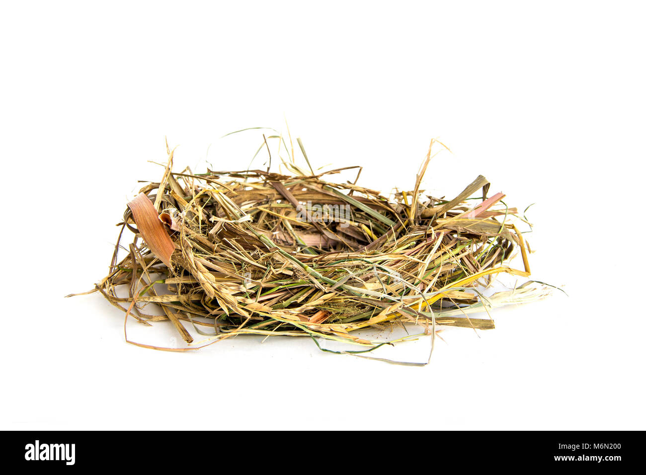 Bird's nest From grass dry and straw or natural material isolated on ...
