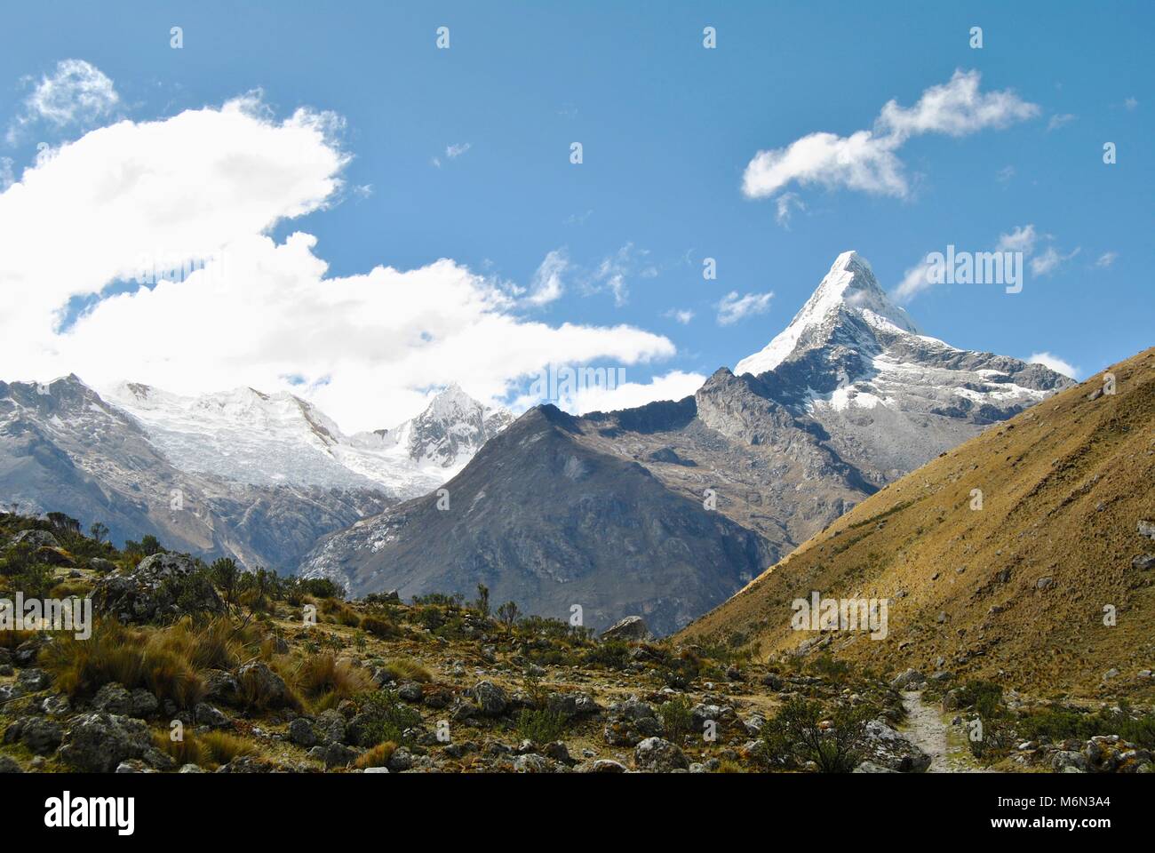 Paramount Mountain Real