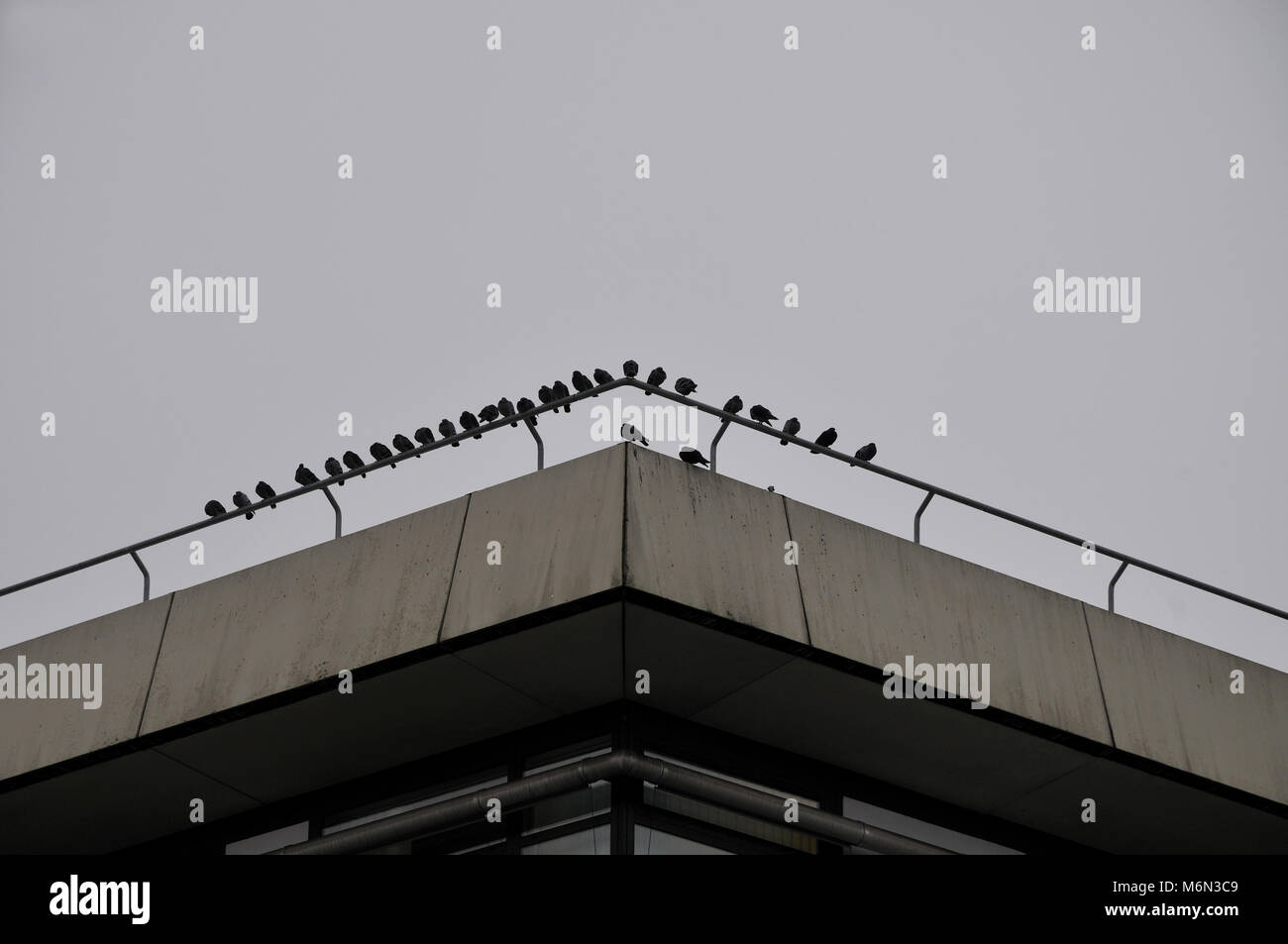 Roof railing hi-res stock photography and images - Alamy