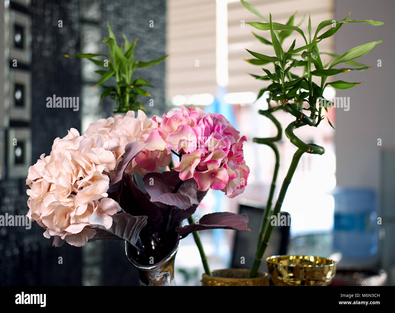 Flowers at home Stock Photo - Alamy