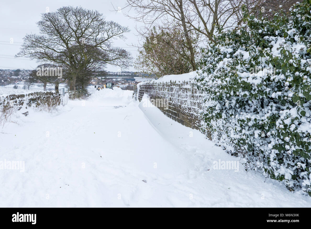 Winter, Judy Woods and Royds Hall, Bradford, West Yorkshire Stock Photo ...