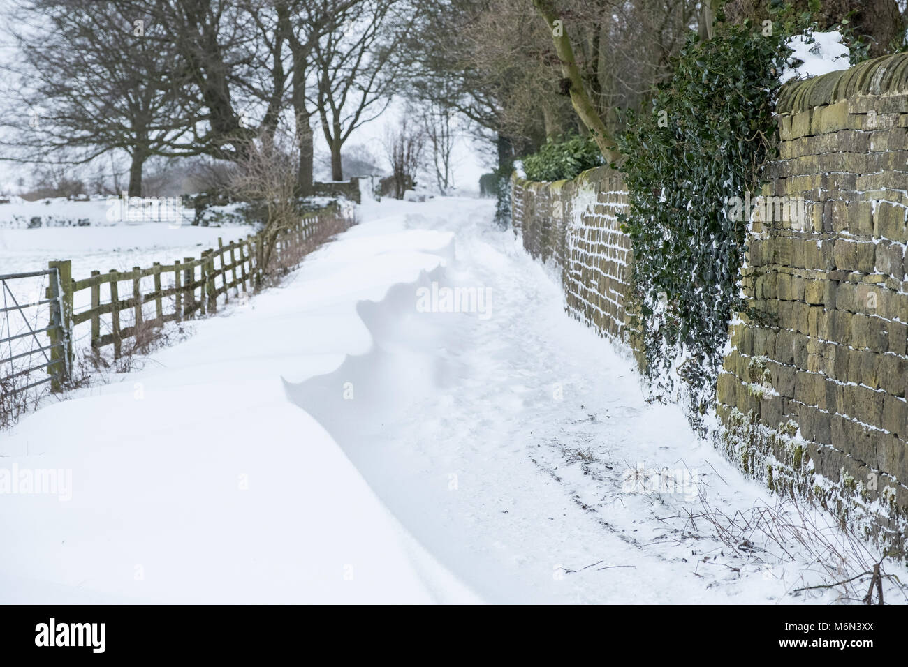 Royds hall hi-res stock photography and images - Alamy