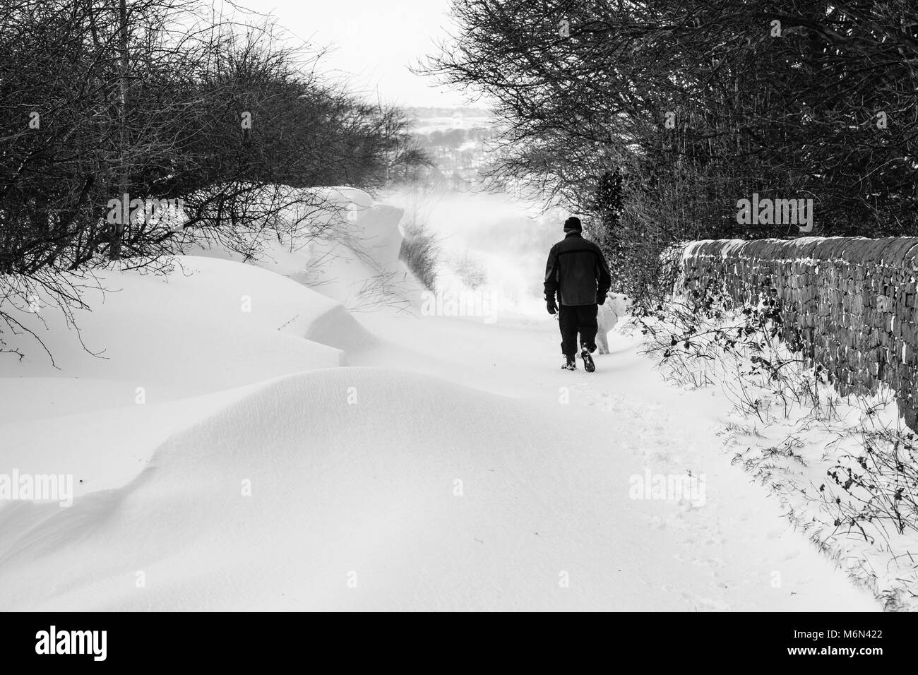 Royds hall hi-res stock photography and images - Alamy