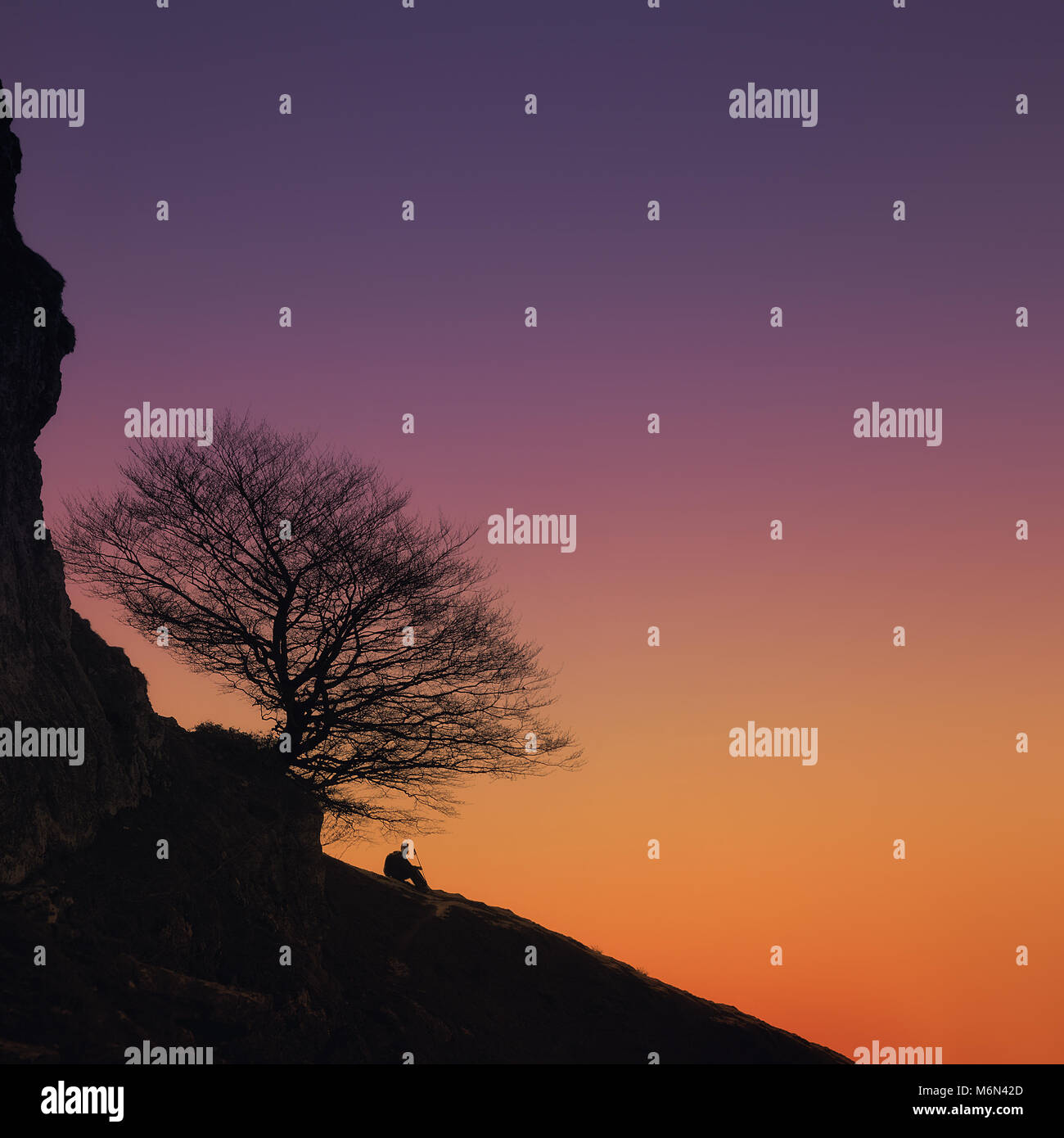 hiker resting sitting under a tree Stock Photo - Alamy