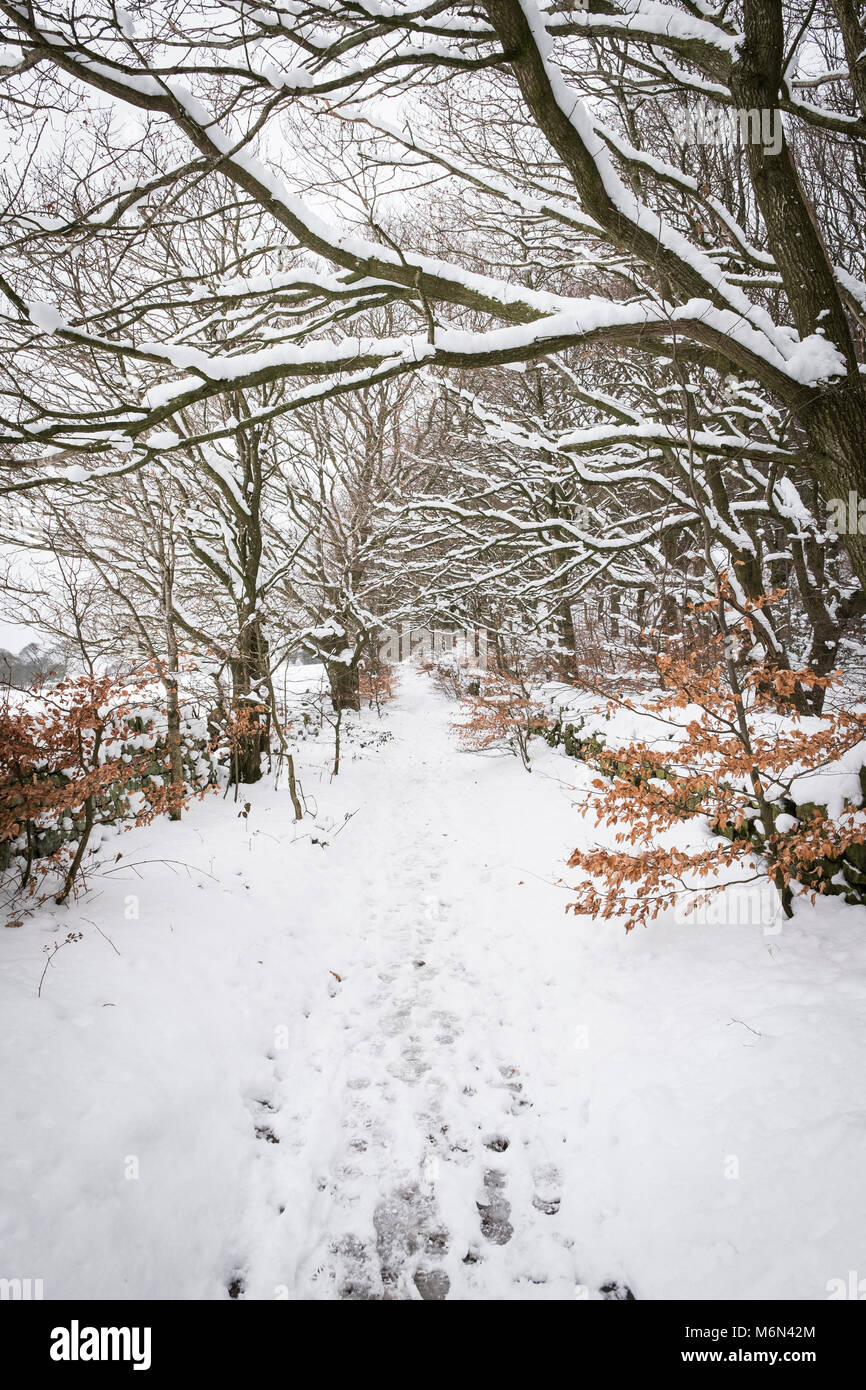 Royds hall hi-res stock photography and images - Alamy