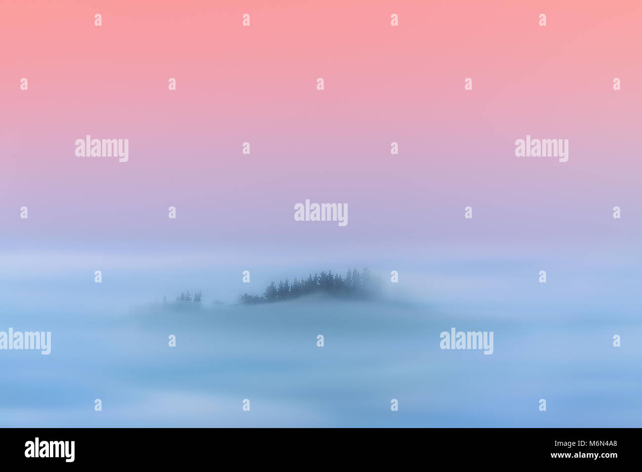 dreamy magic landscape of hazy forest Stock Photo - Alamy