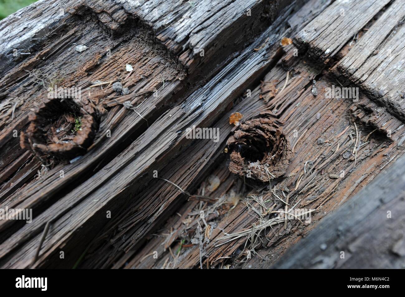 Decaying buildings in disrepair Stock Photo - Alamy