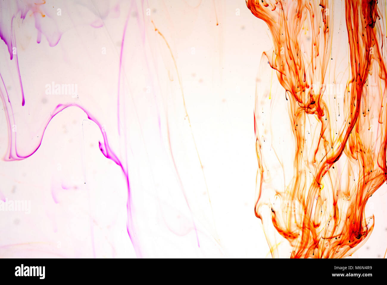 Spread, Color drop falling in water creating a Color spread. Colorful ...