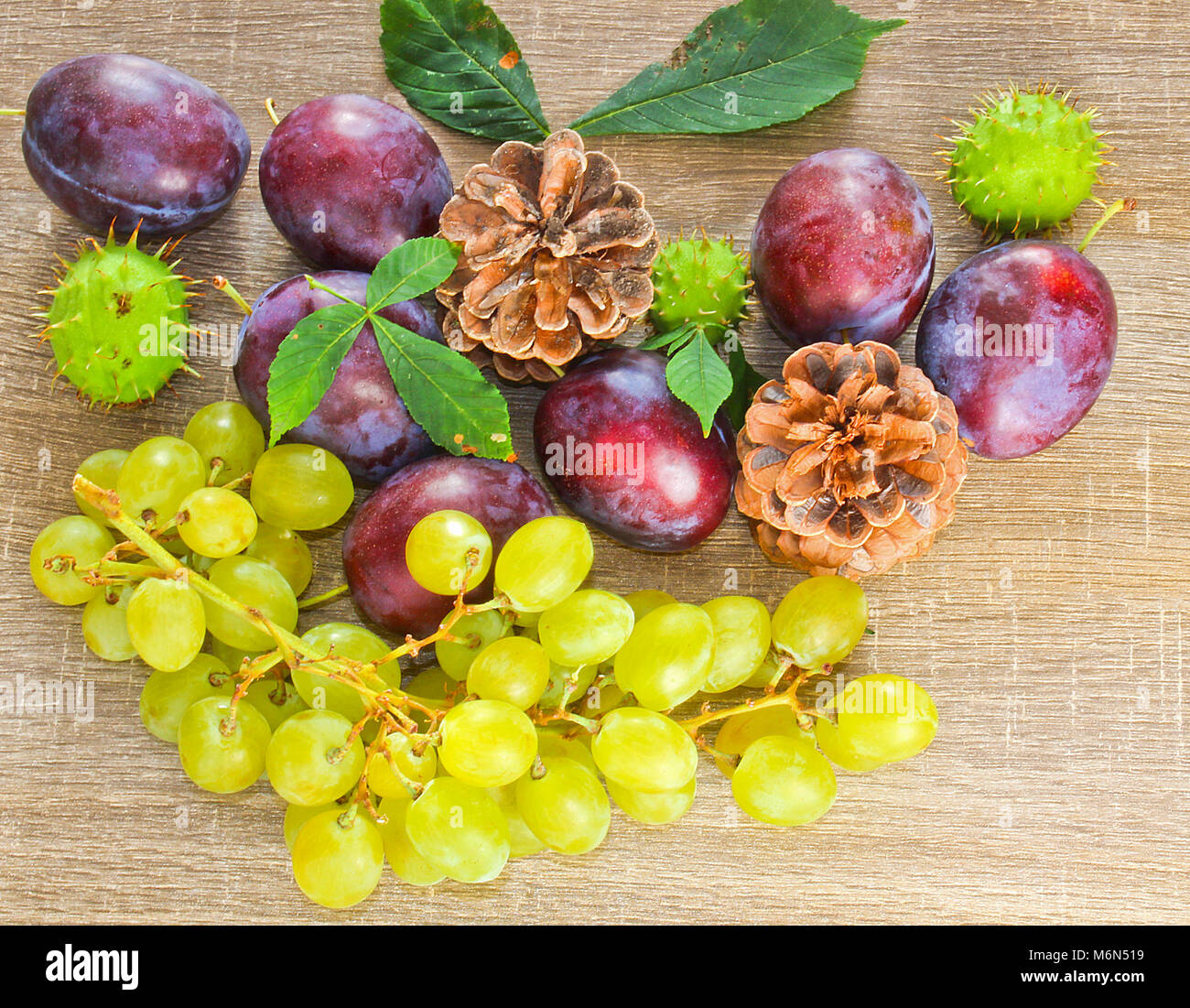 Autumn fruits cone chestnuts hi-res stock photography and images - Alamy