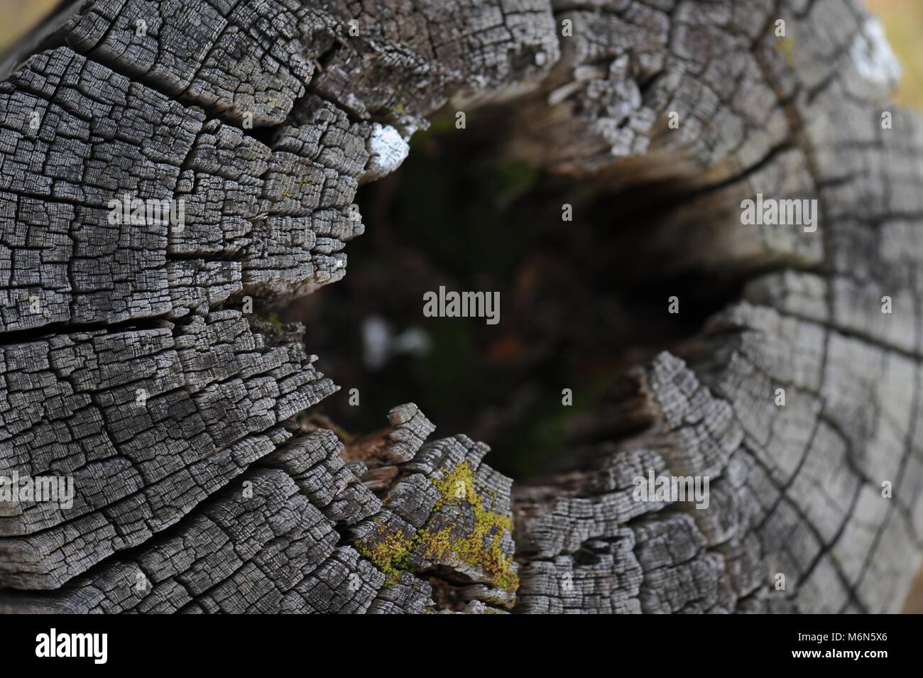 Decaying buildings in disrepair Stock Photo - Alamy