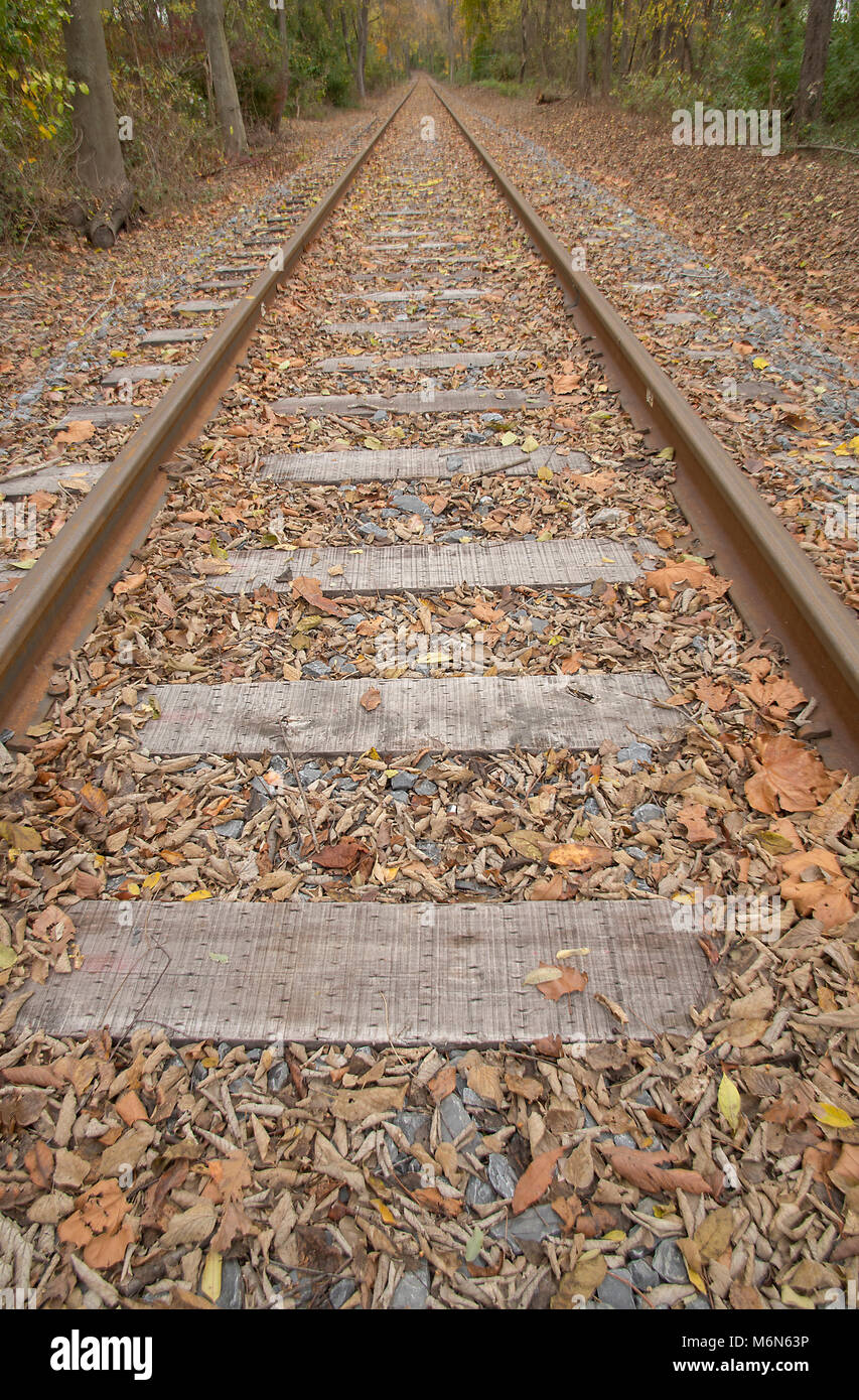 Looking down the tracks of a railroad creates and interesting ...