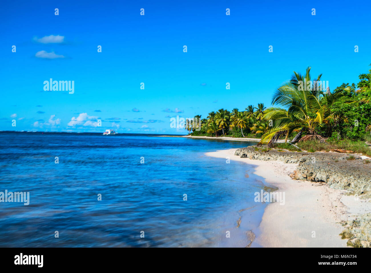 Tropical beach with palm trees and ocean Stock Photo - Alamy