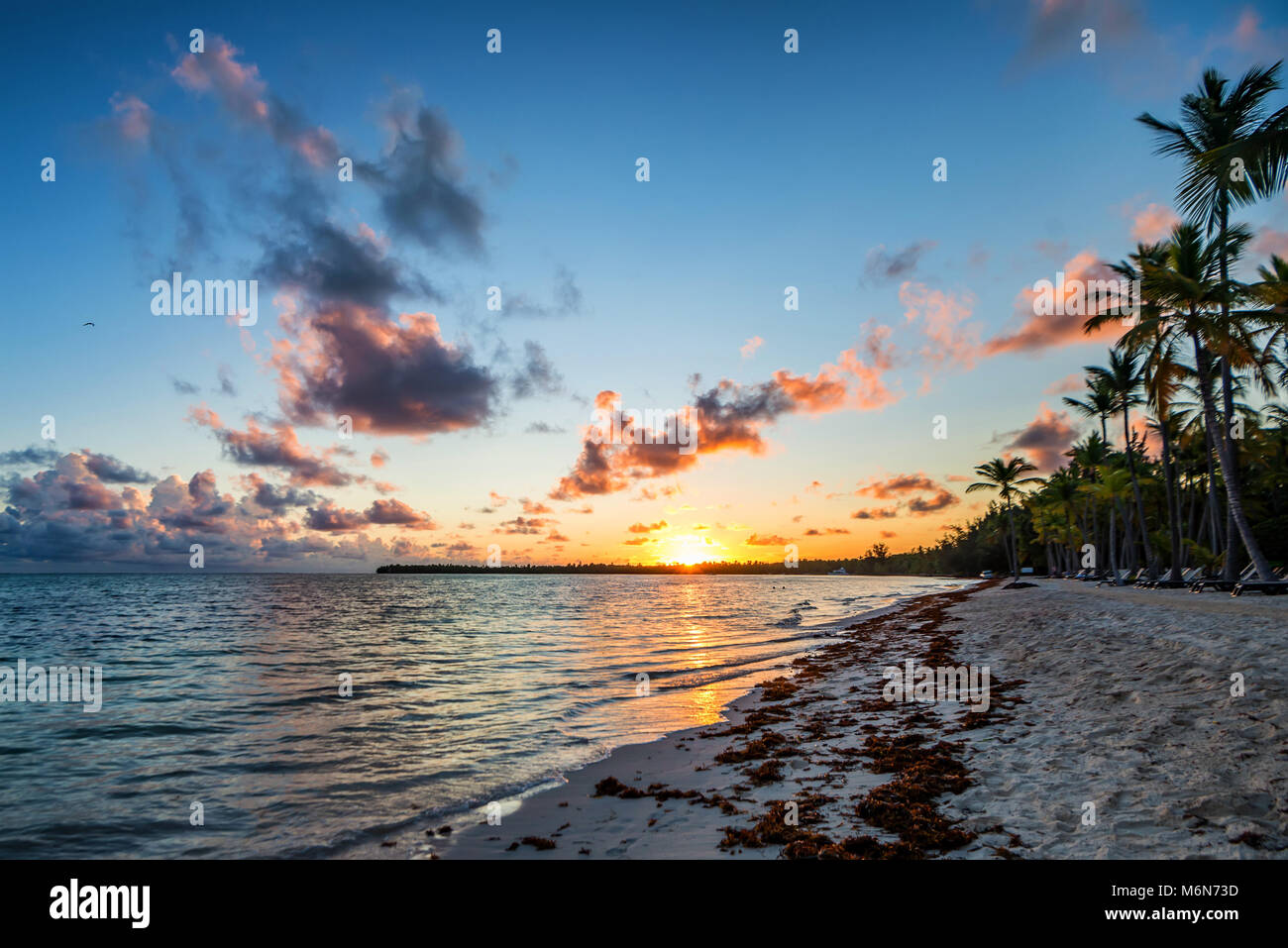 Tropical beach with palm trees and ocean Stock Photo - Alamy