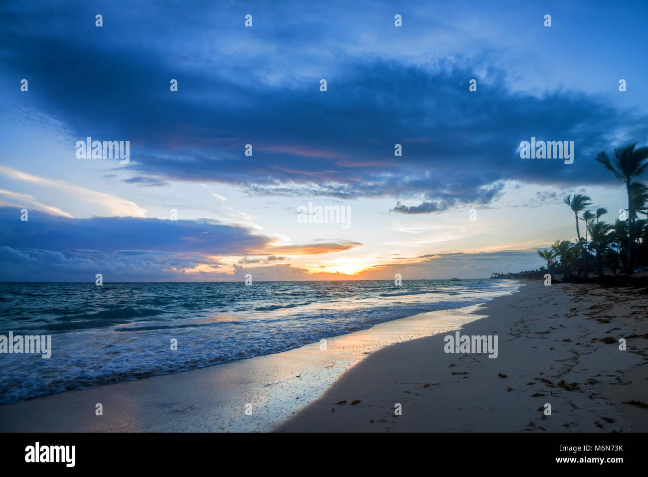 Tropical beach with palm trees and ocean Stock Photo - Alamy