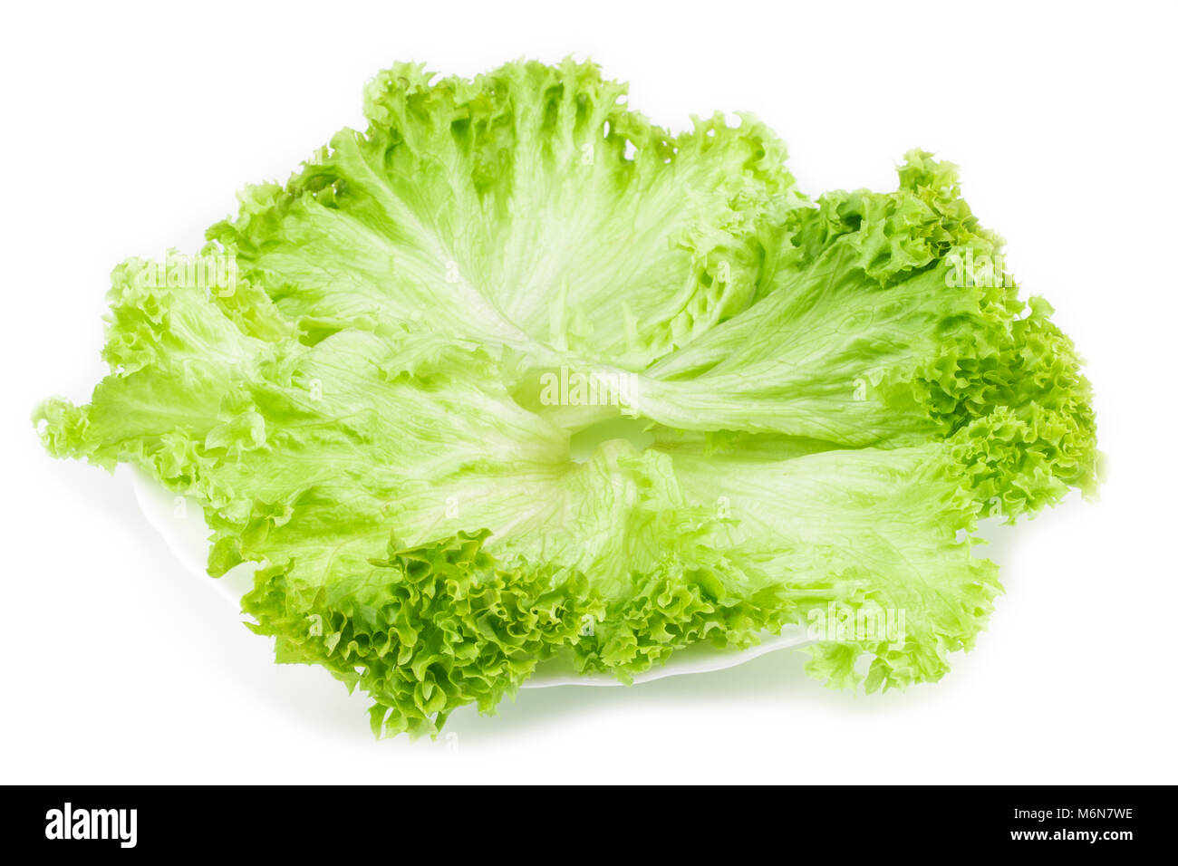 Leaf of lettuce on white plate.Top view. Isolated Stock Photo - Alamy