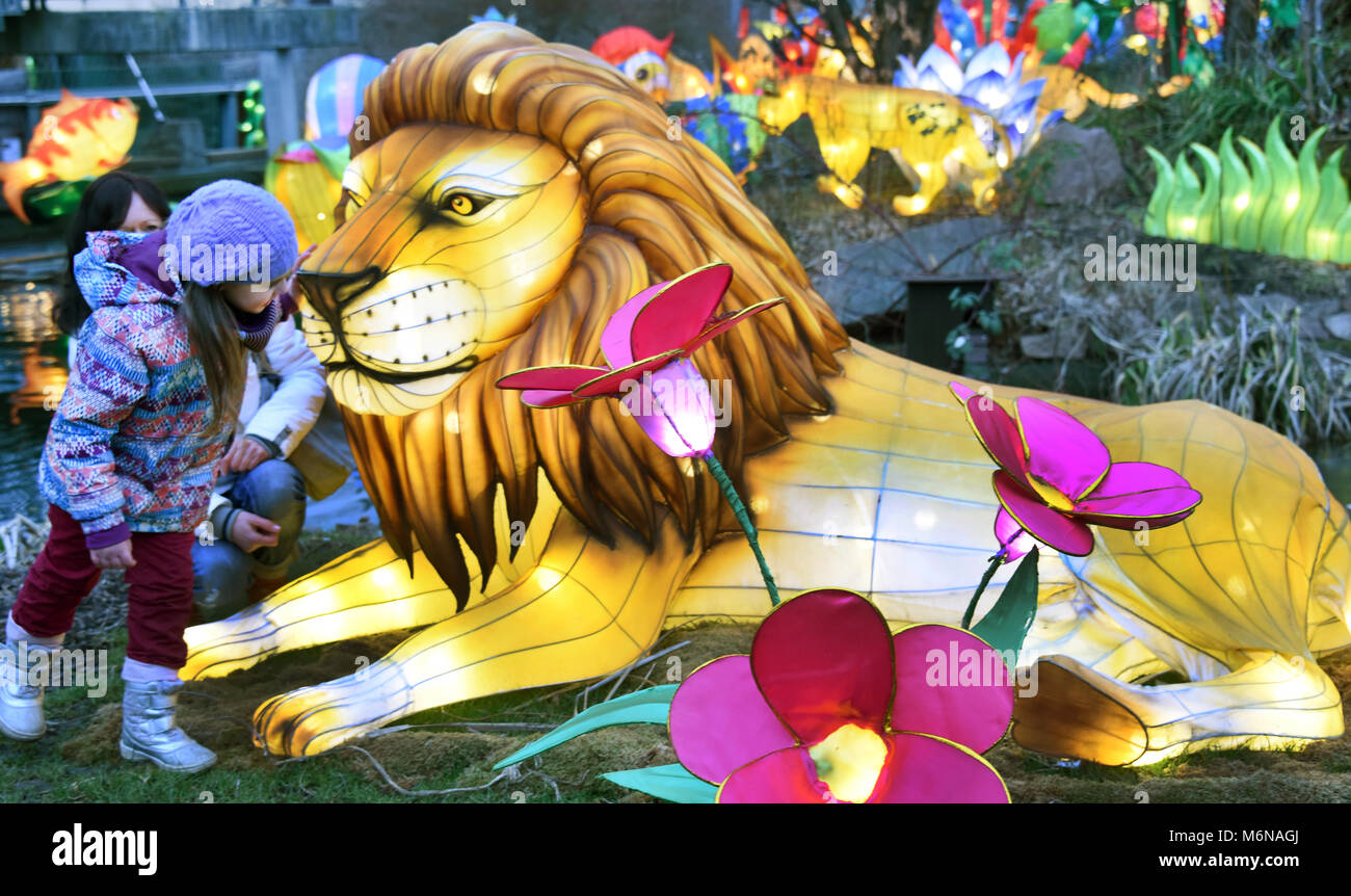 Lion installation hi-res stock photography and images - Alamy